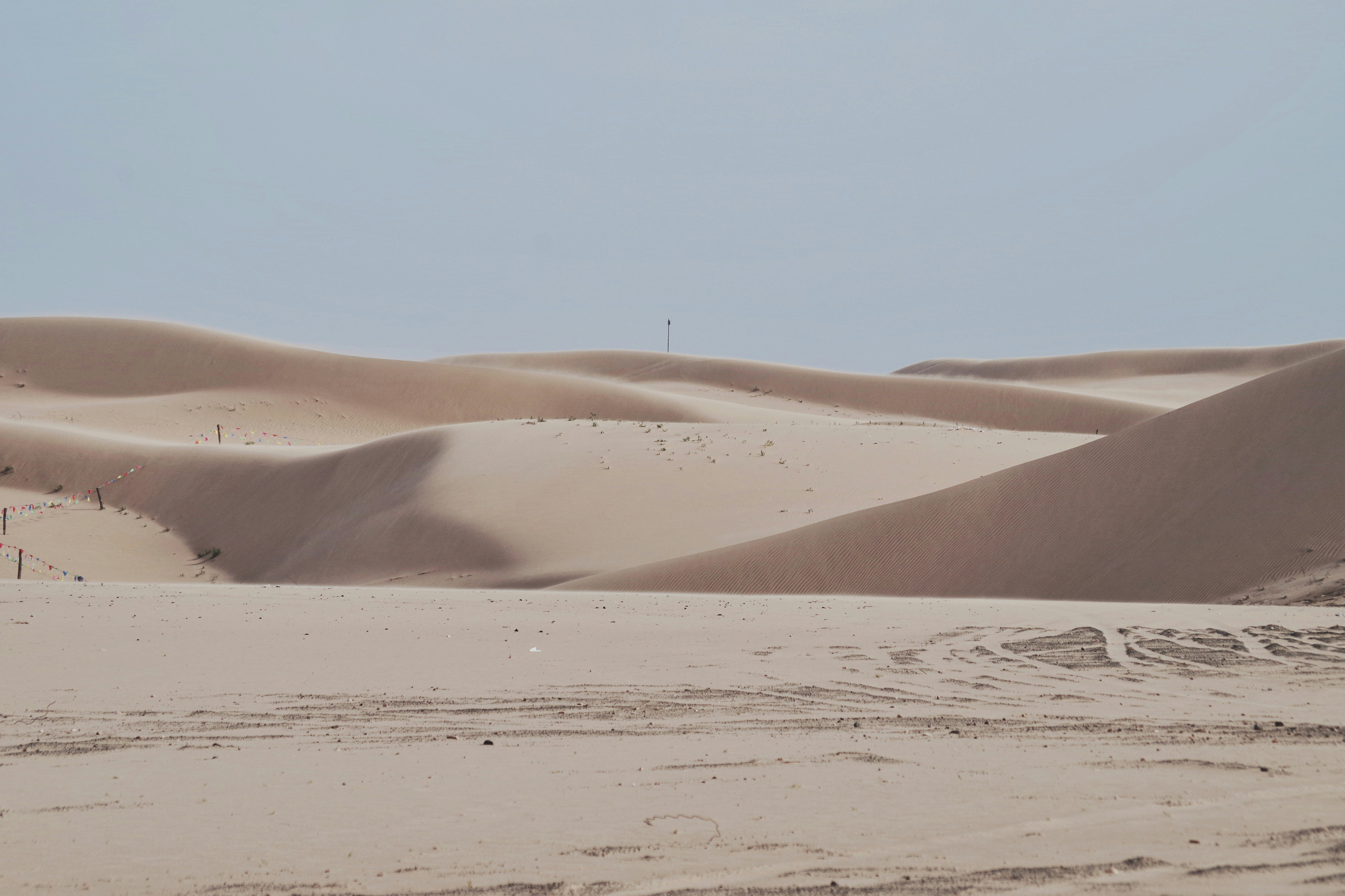 A group of people walking across a sandy field photo – Free Nature ...