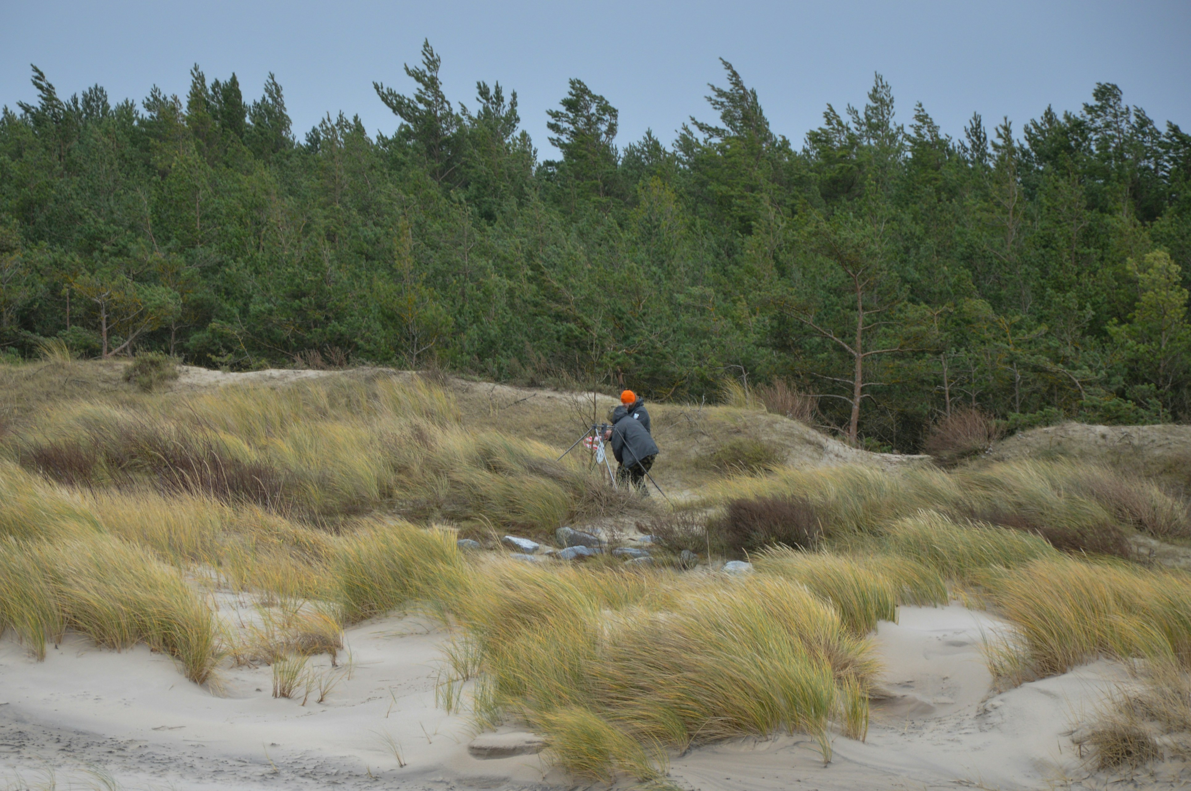 Wanderer Among the Dunes