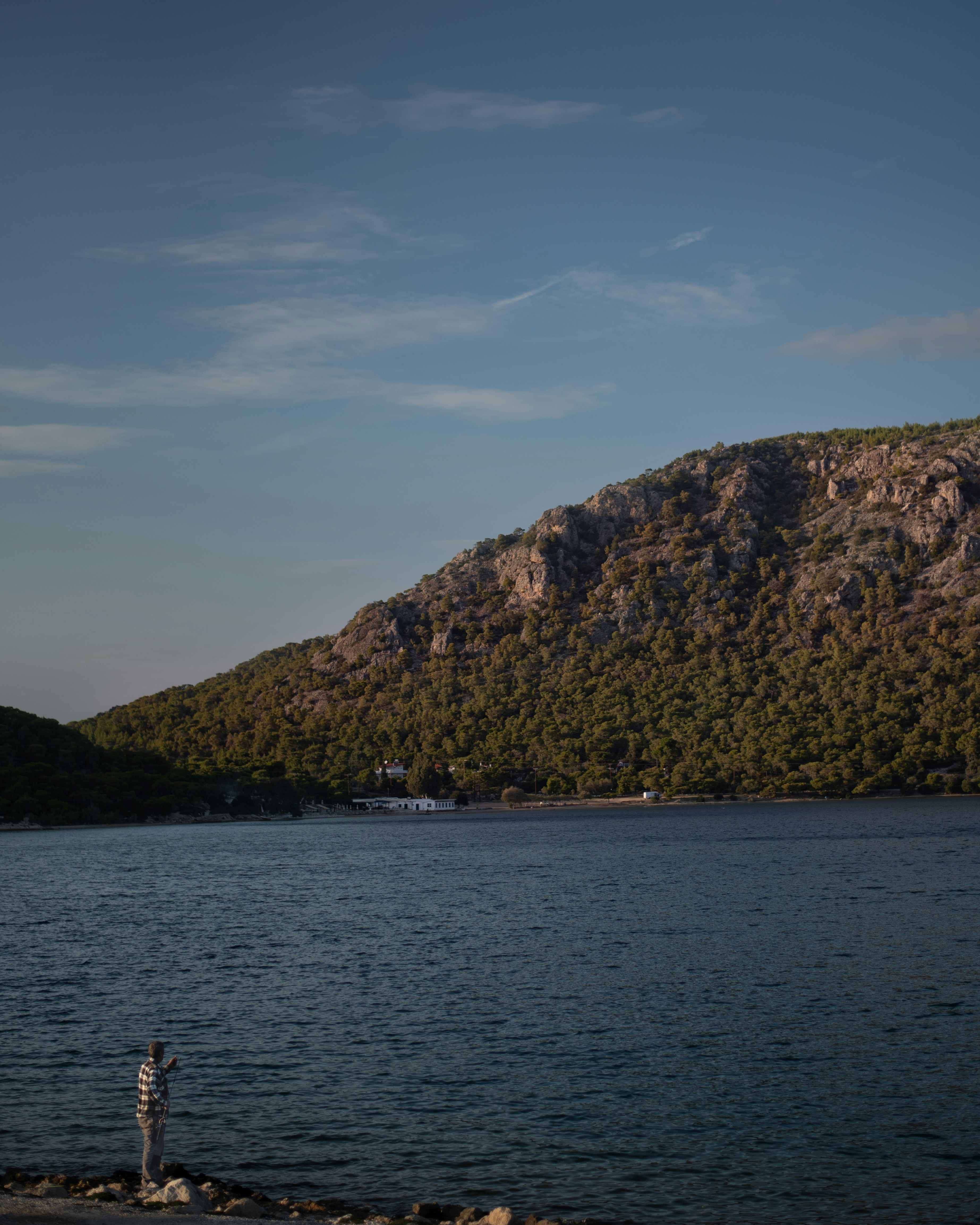 Lone Angler at the Pine-Lined Lake Under a Quiet Sky