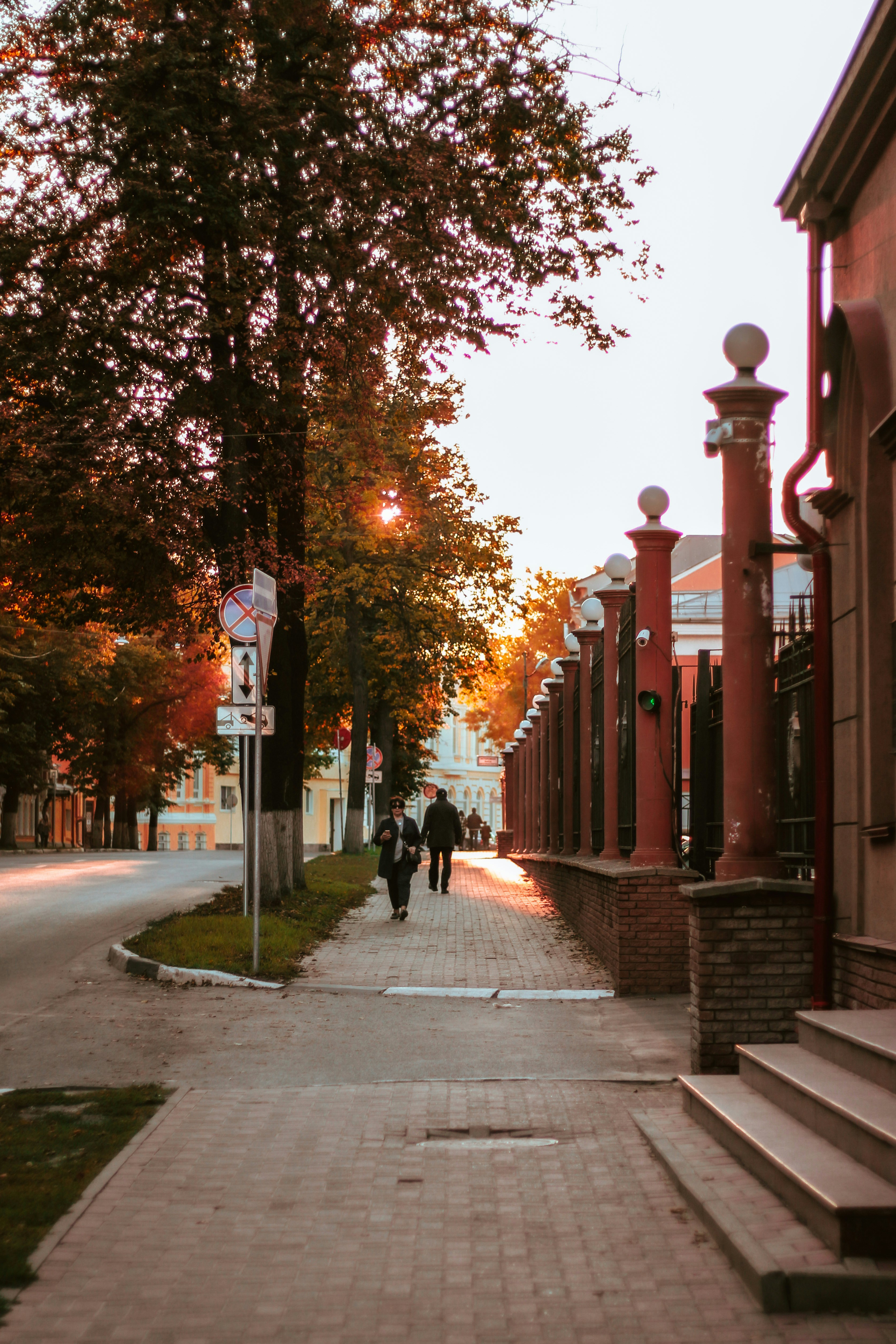 Two figures walking along a tree-lined sidewalk as golden autumn leaves glow in the evening light. Street signs and a green traffic light add urban context.
