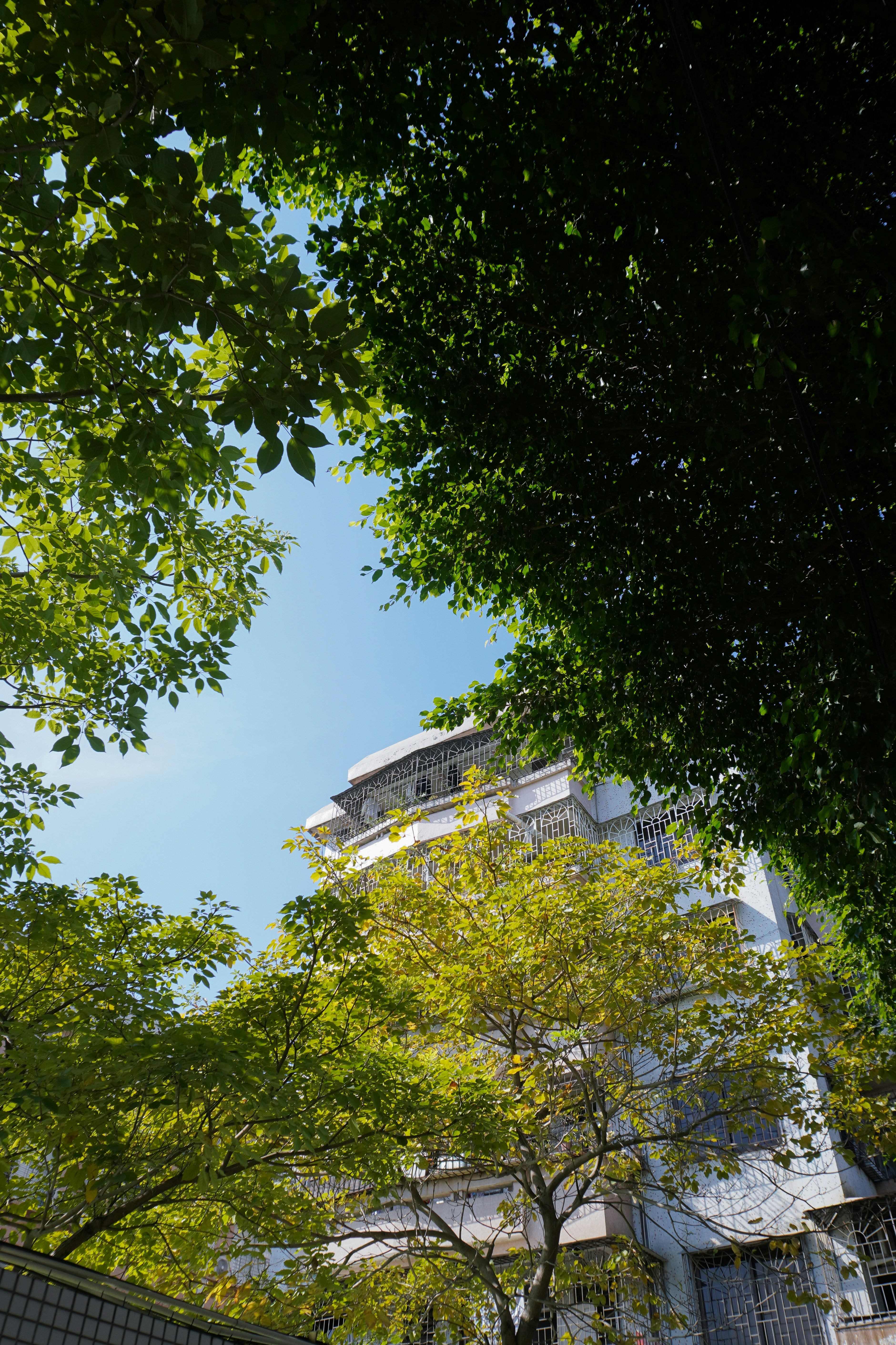 Lush green foliage frames a modern building under a clear blue sky, showcasing the harmony between nature and urban design.