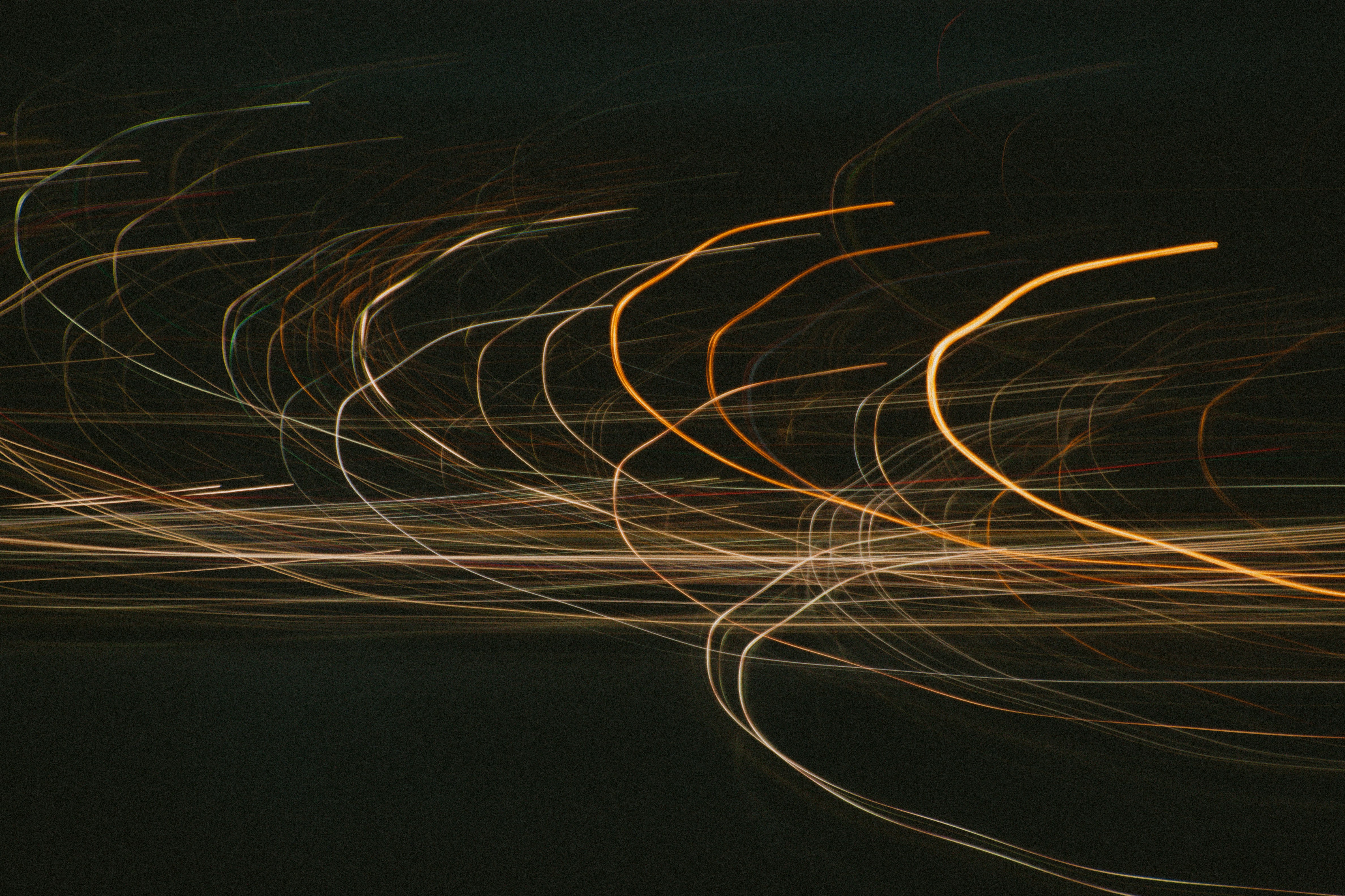 Photo by Emily Williams with Canon EOS 500D