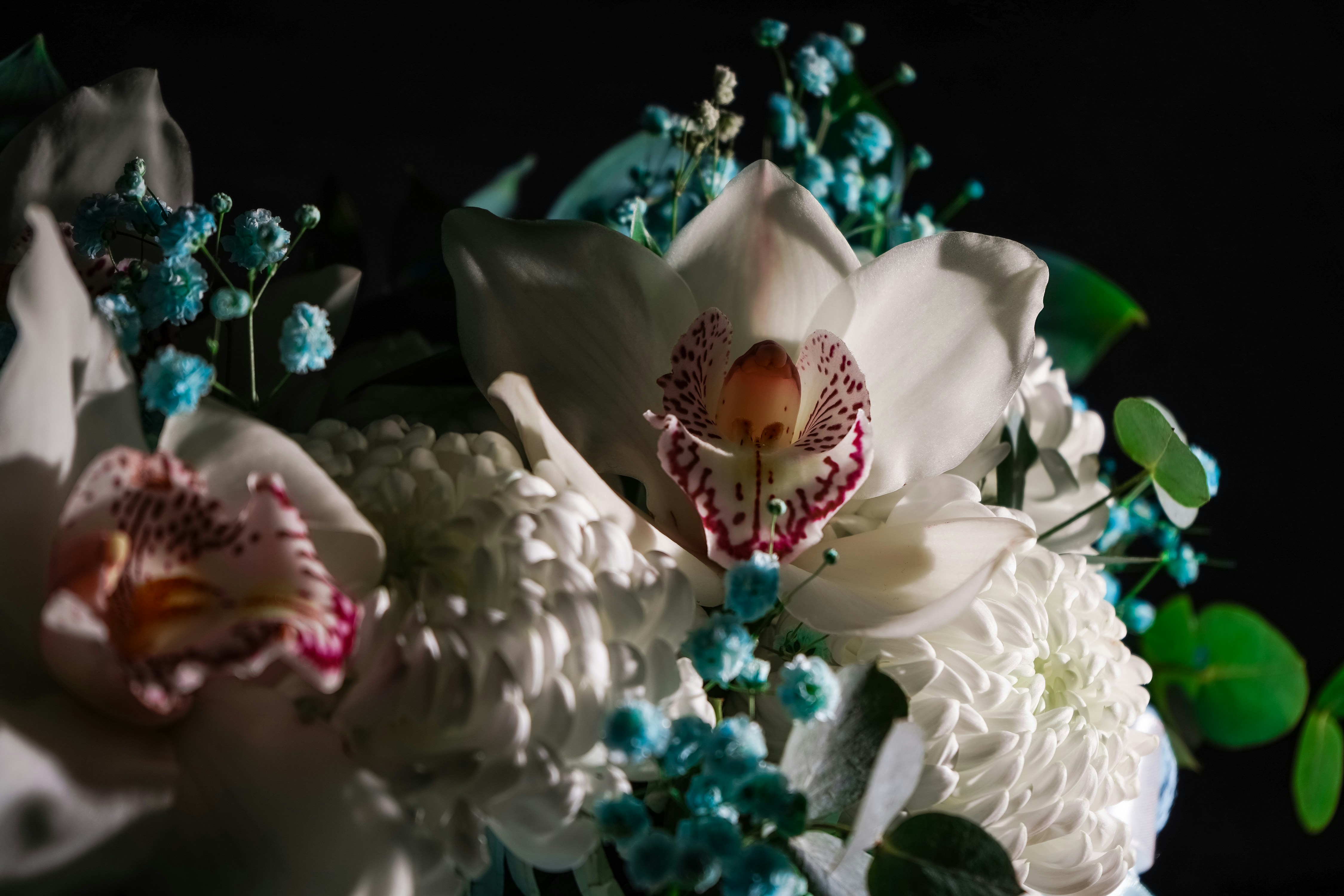 Gros plan d’un bouquet de fleurs photo – Photo Orchidée Gratuite sur ...