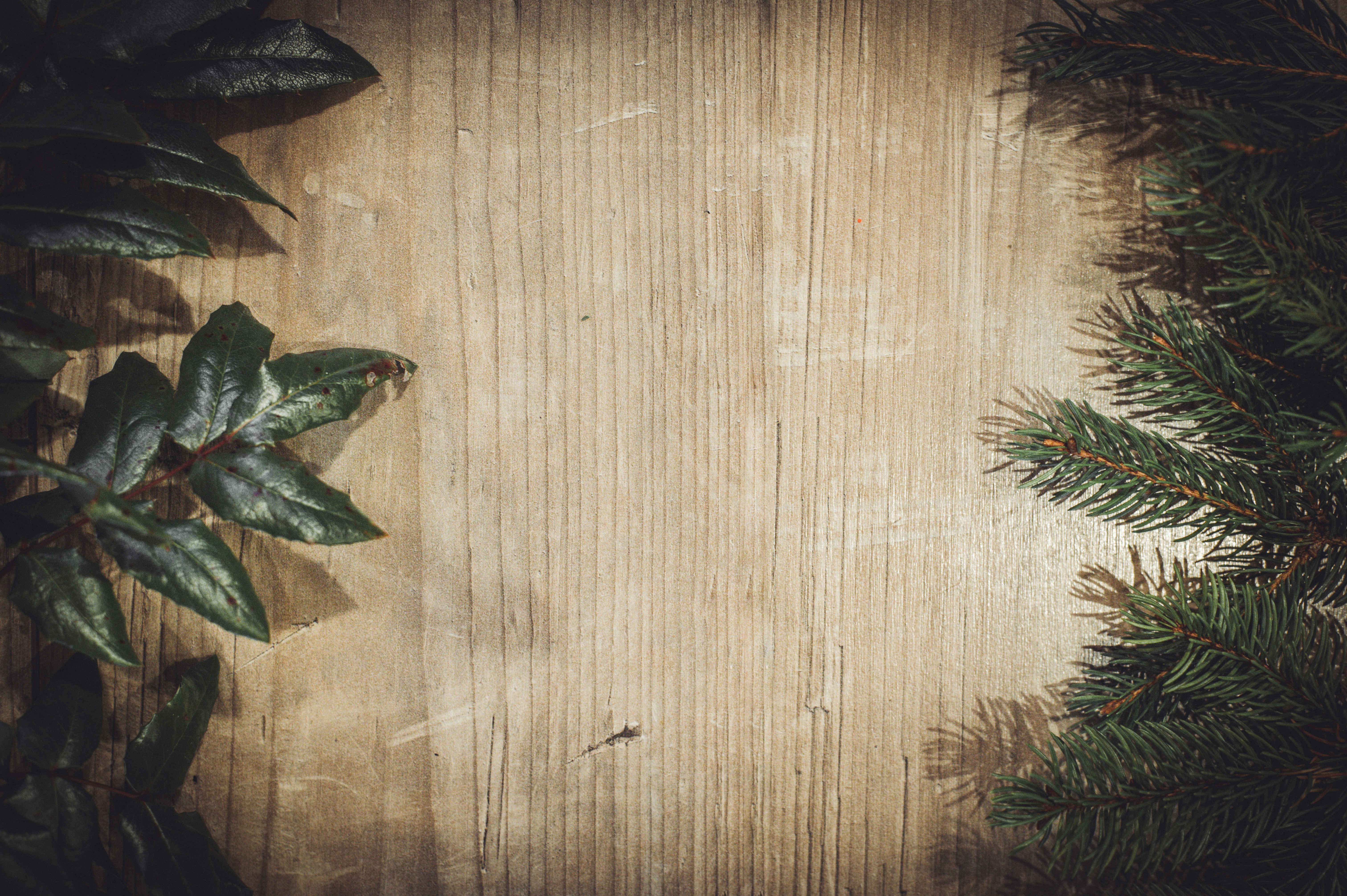 Winter Woods on a Rustic Plank