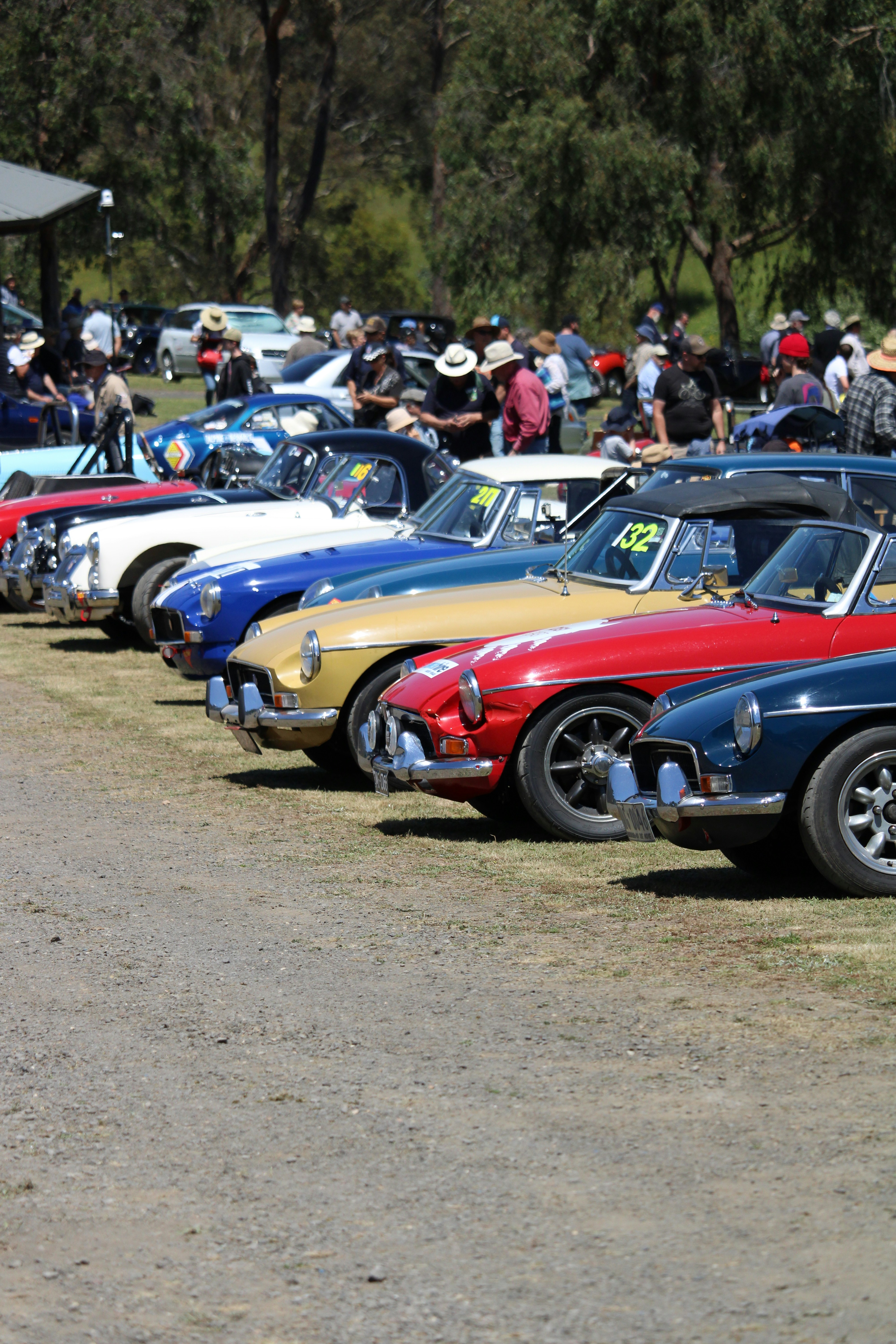 Sunlit Parade of Vintage Sports Cars