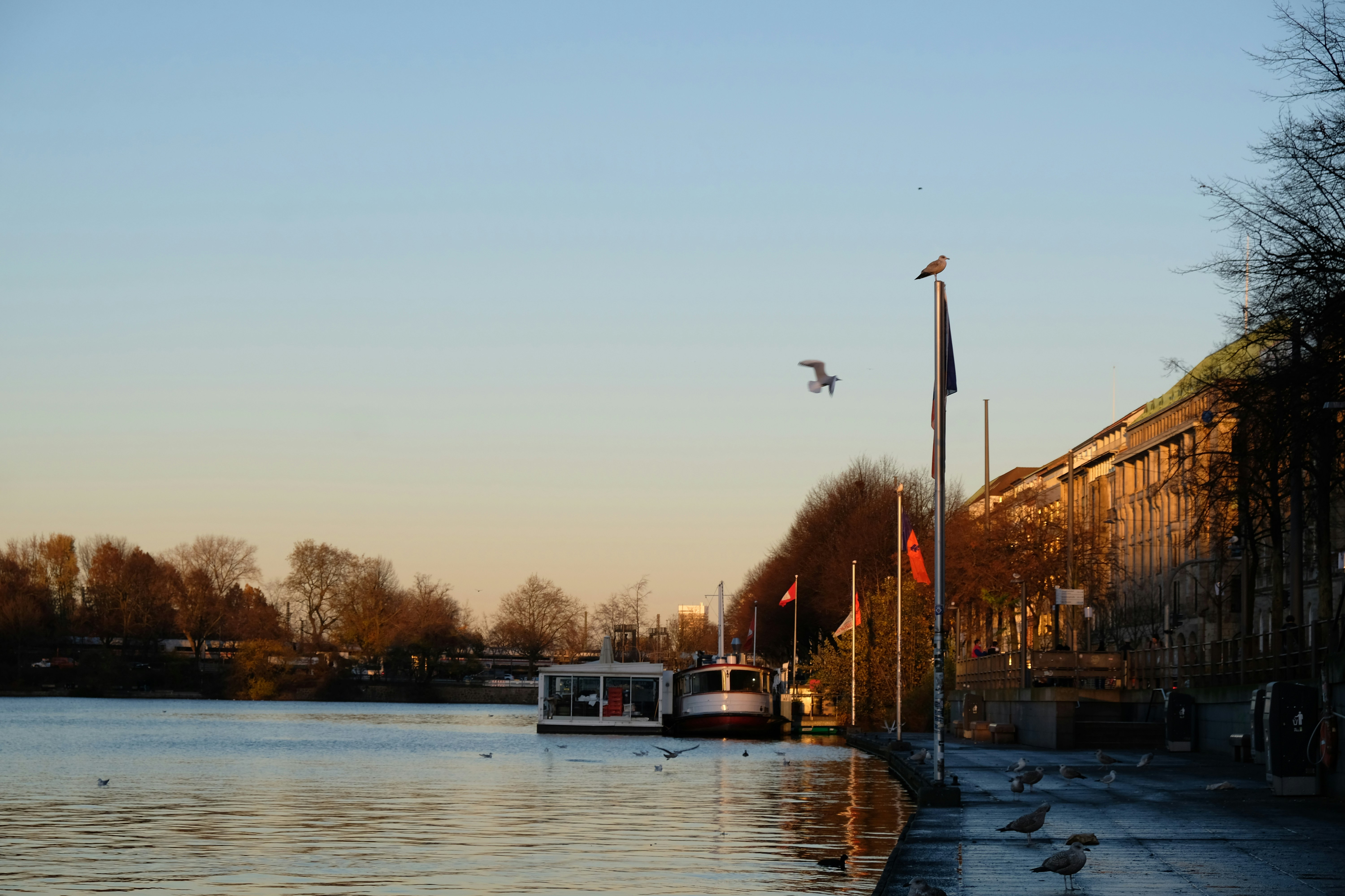 Riverside Waypoints: Boats, Seabirds, and Dusk Along the Embankment