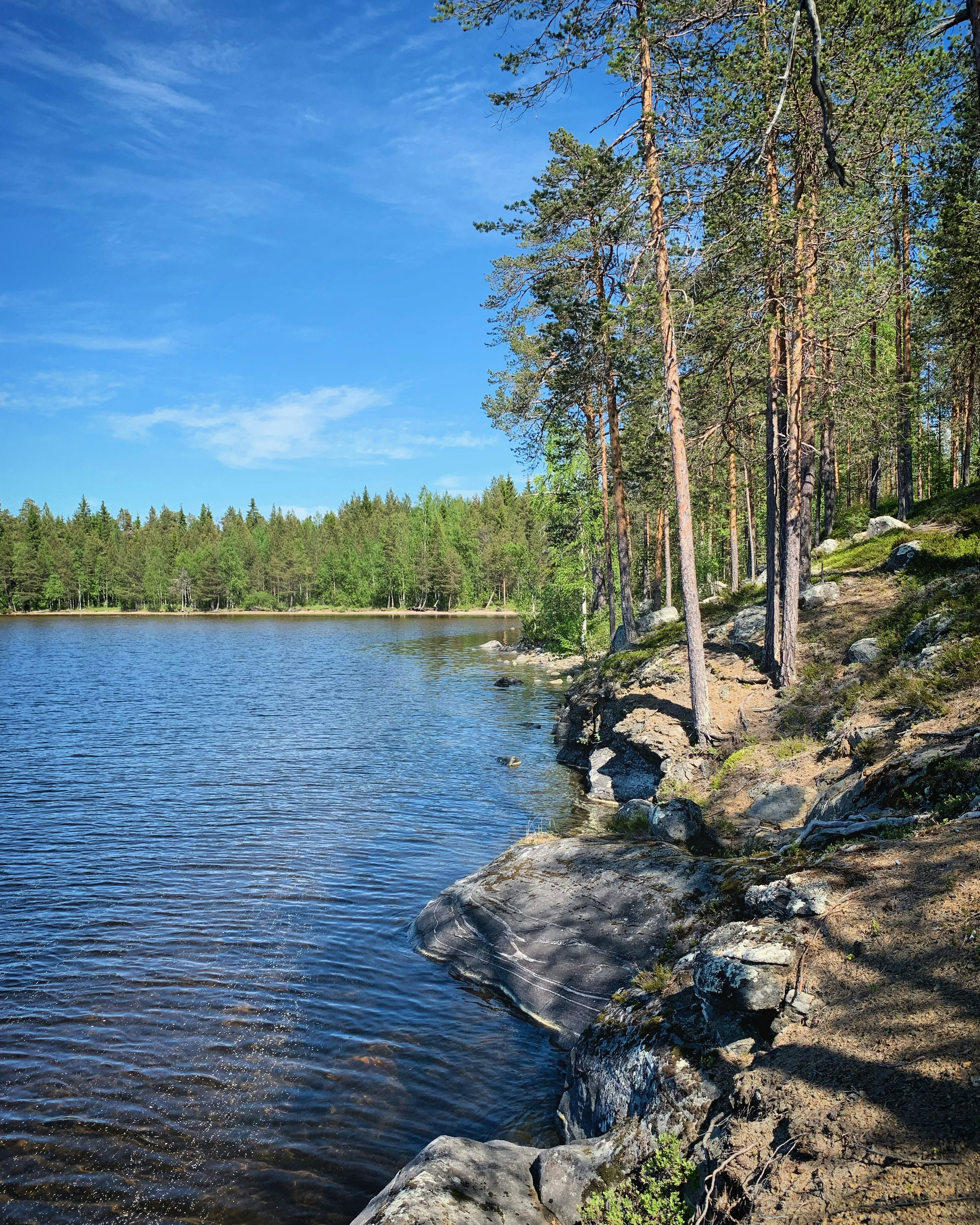 Tranquil lakeside scene featuring lush trees and smooth rocks under a clear blue sky.