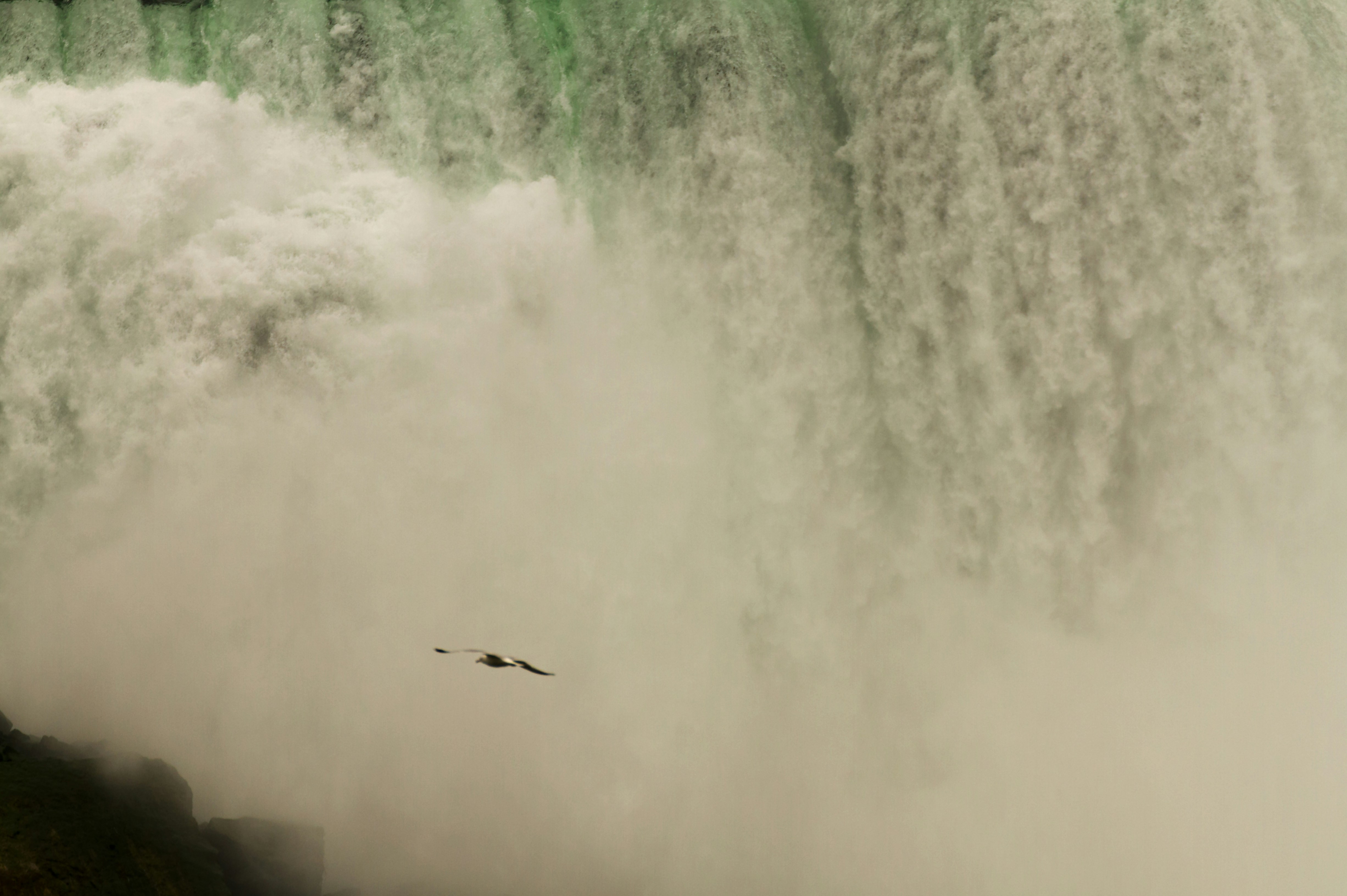A solitary bird glides through the mist created by a powerful waterfall, showcasing the harmony between nature's elements.