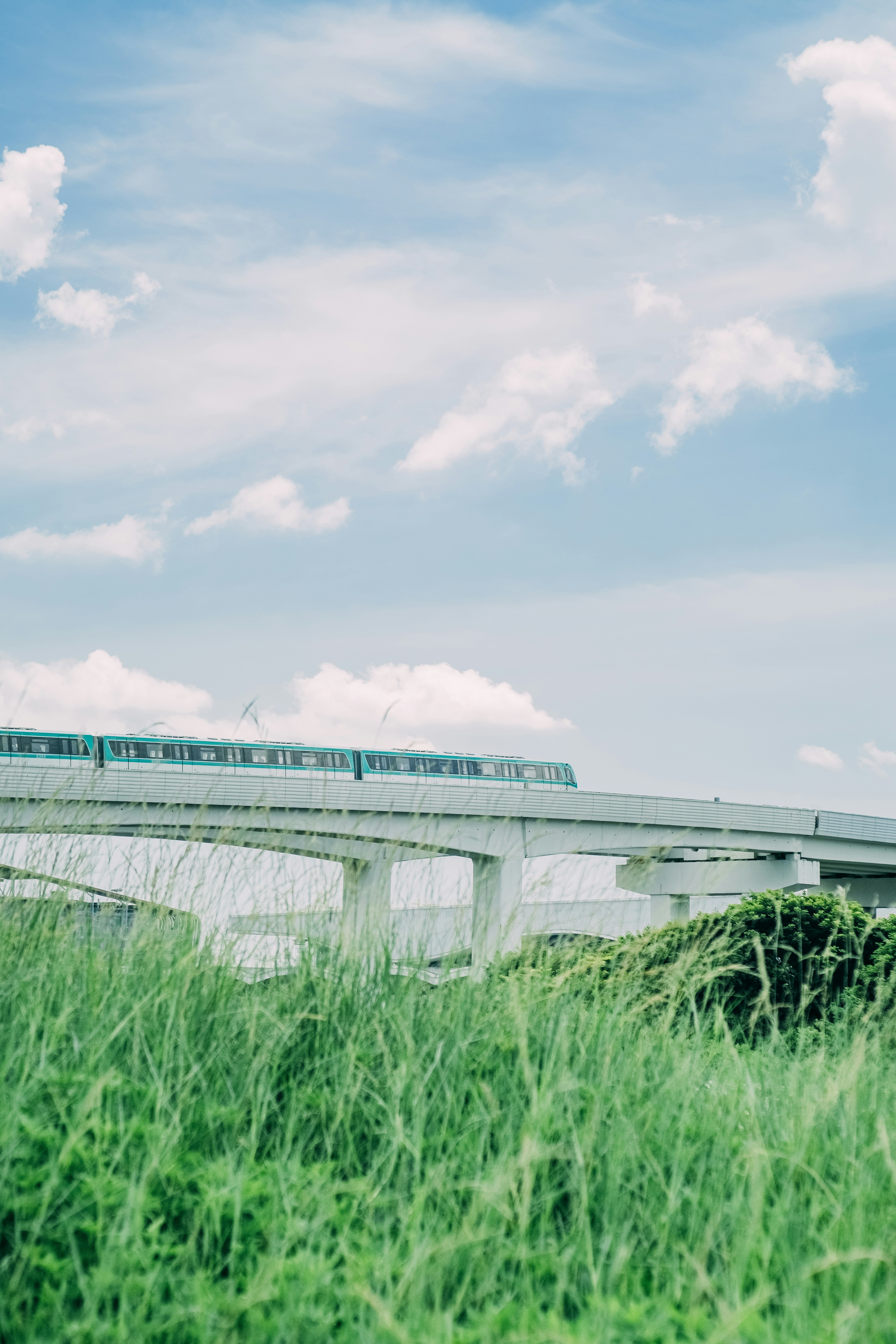 a train traveling over a bridge over a lush green field