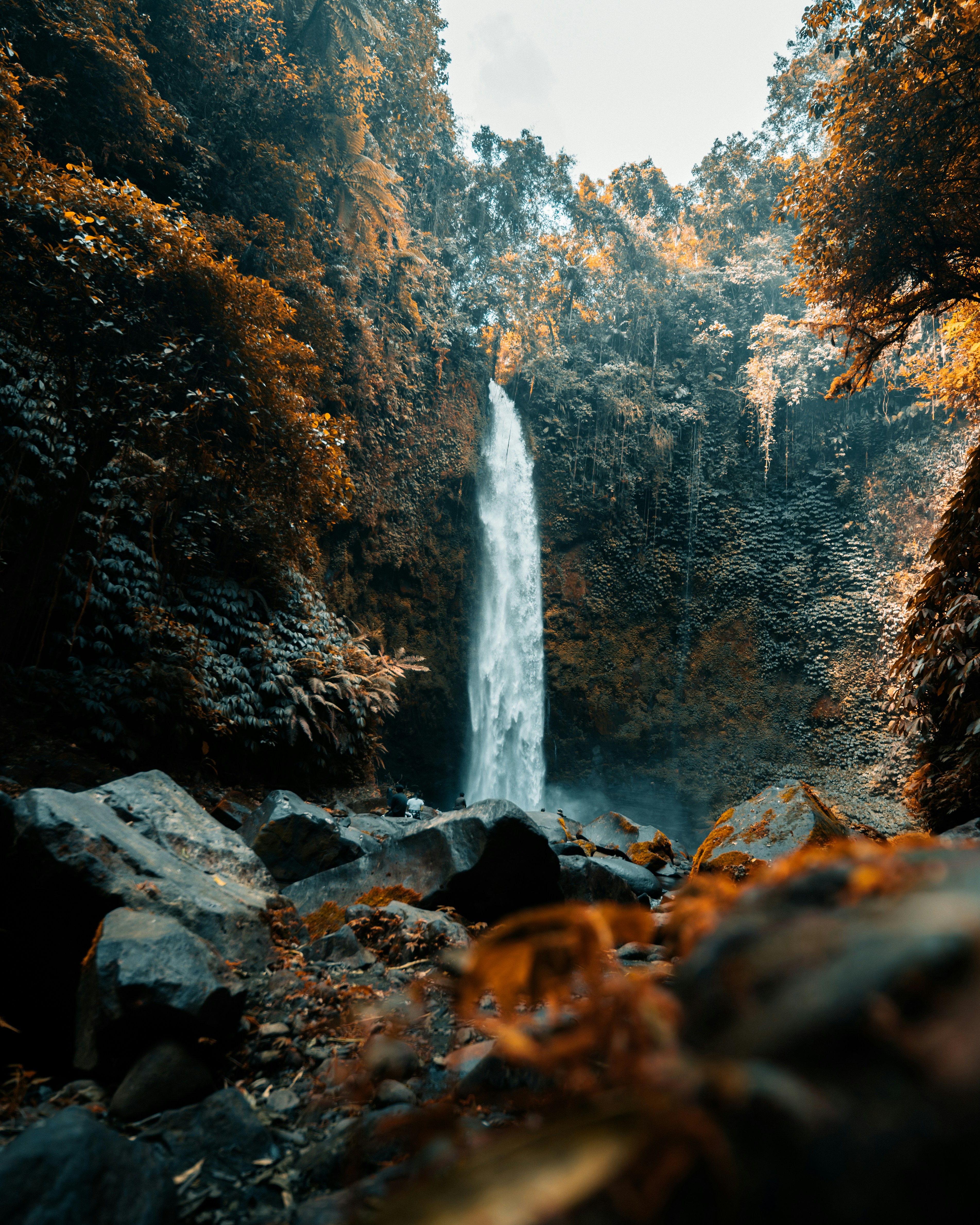 Majestic waterfall cascading down rocky cliffs, surrounded by lush greenery and autumn-hued foliage.