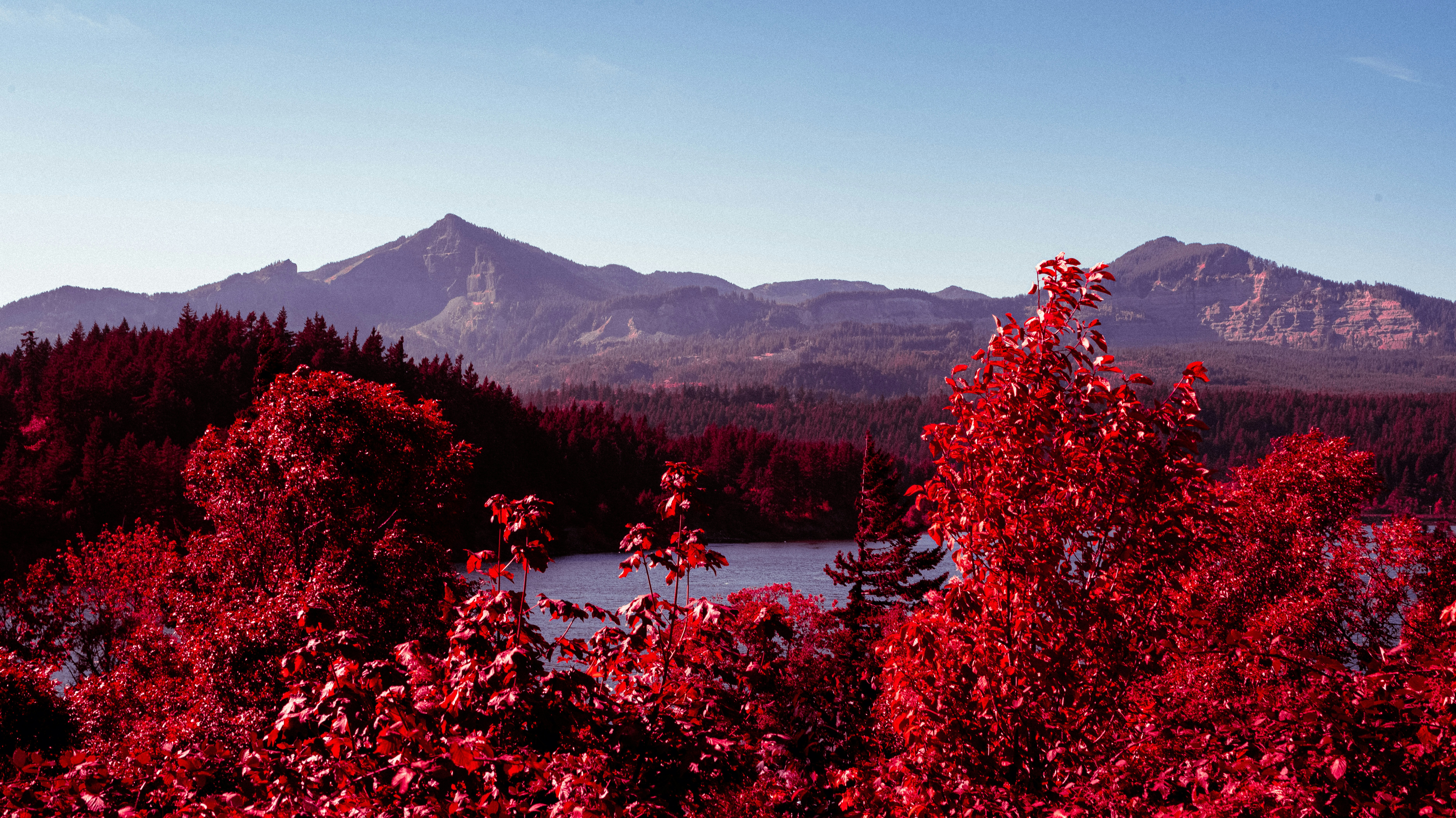 Crimson Hues Over Washington Peaks