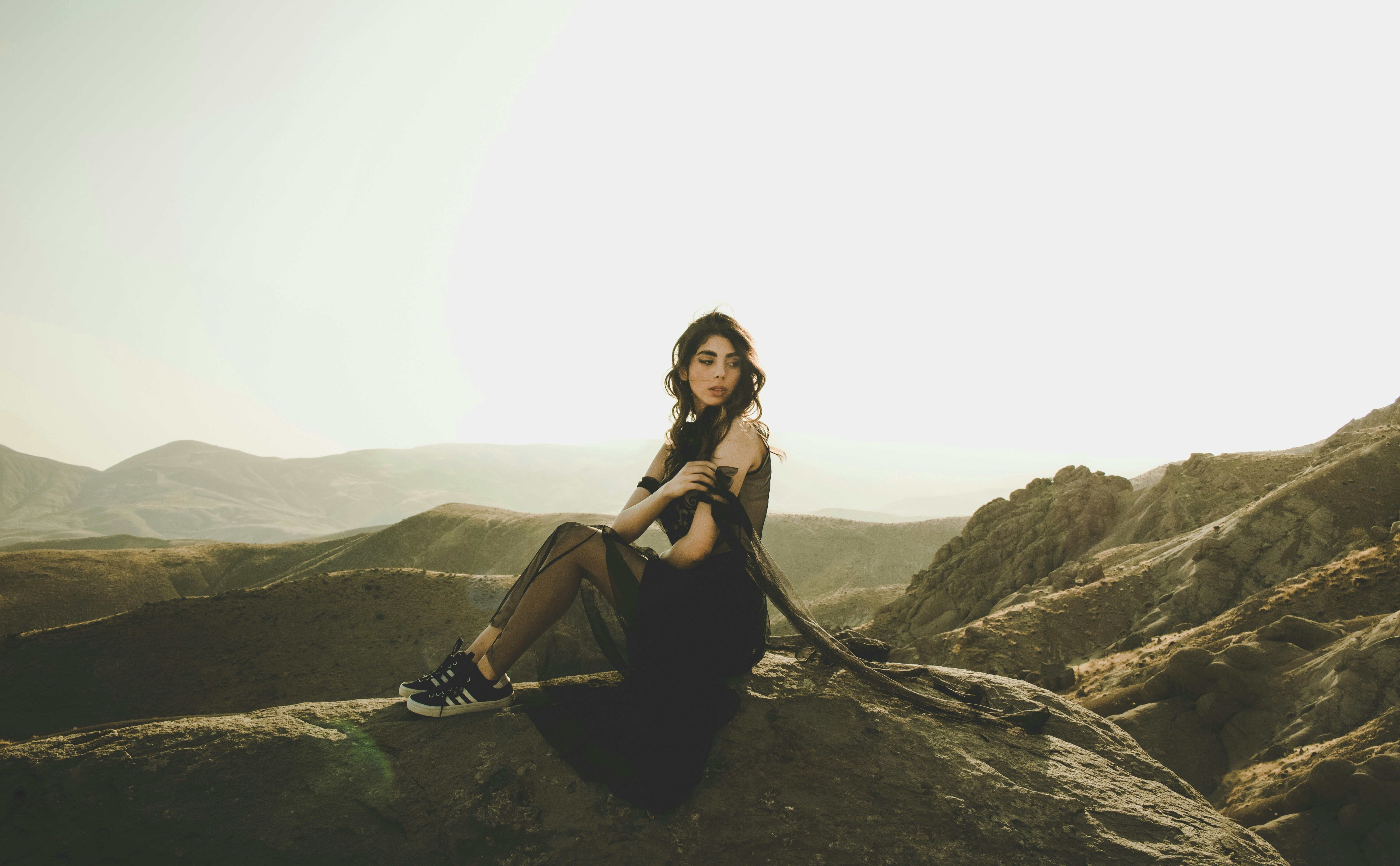 Backlit Reverie on a Desert Ridge