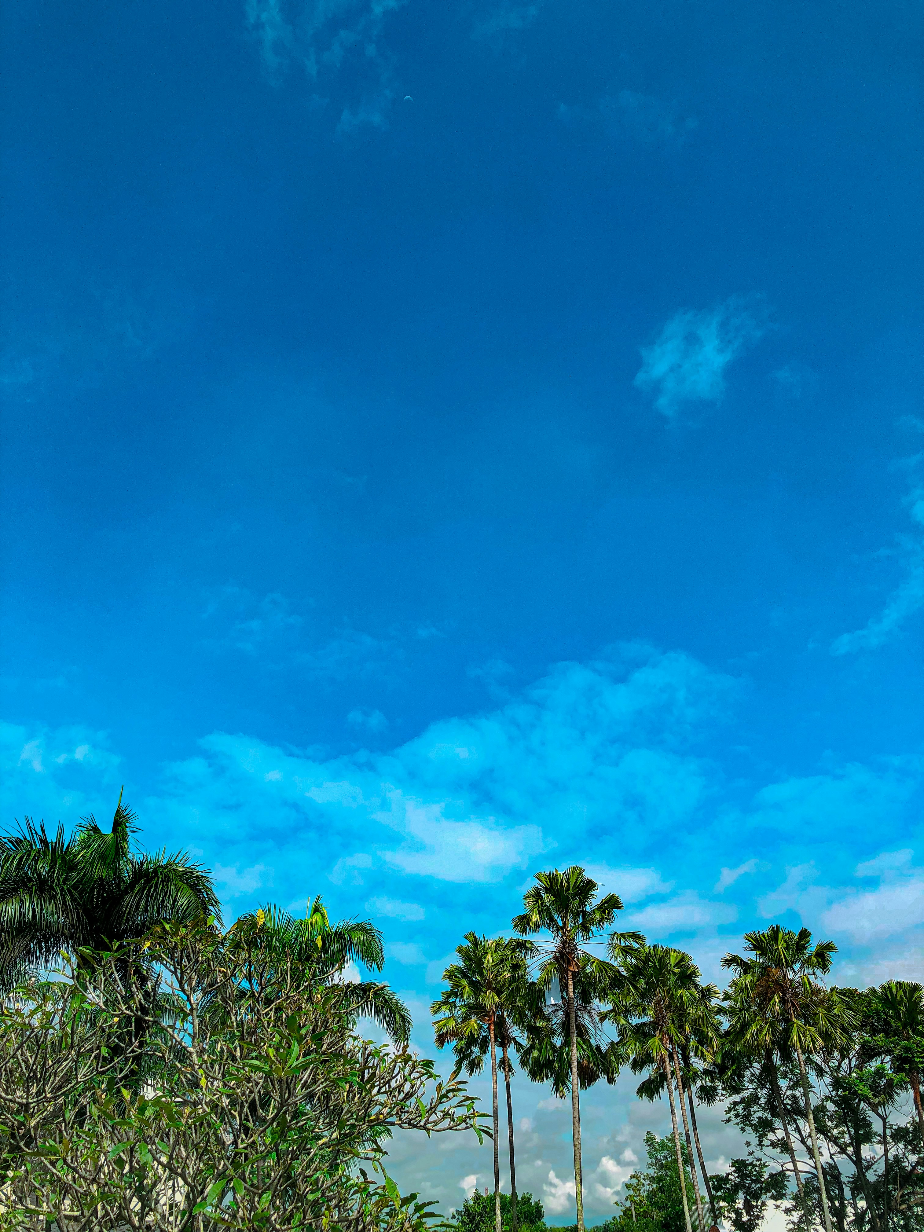 Harris, Rogan and US bank chief among Time magazine's nominees for ...