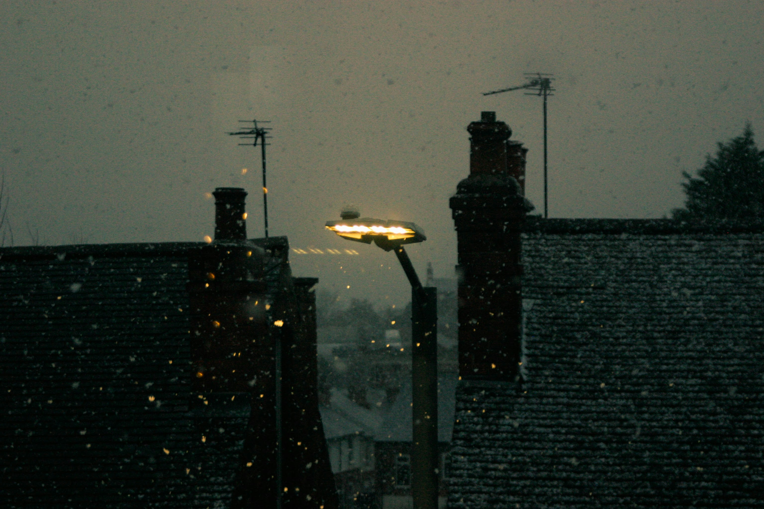 Snowflakes dance around a streetlight illuminating rooftops during a winter evening. The scene captures the serene beauty of a quiet neighborhood in snowfall.