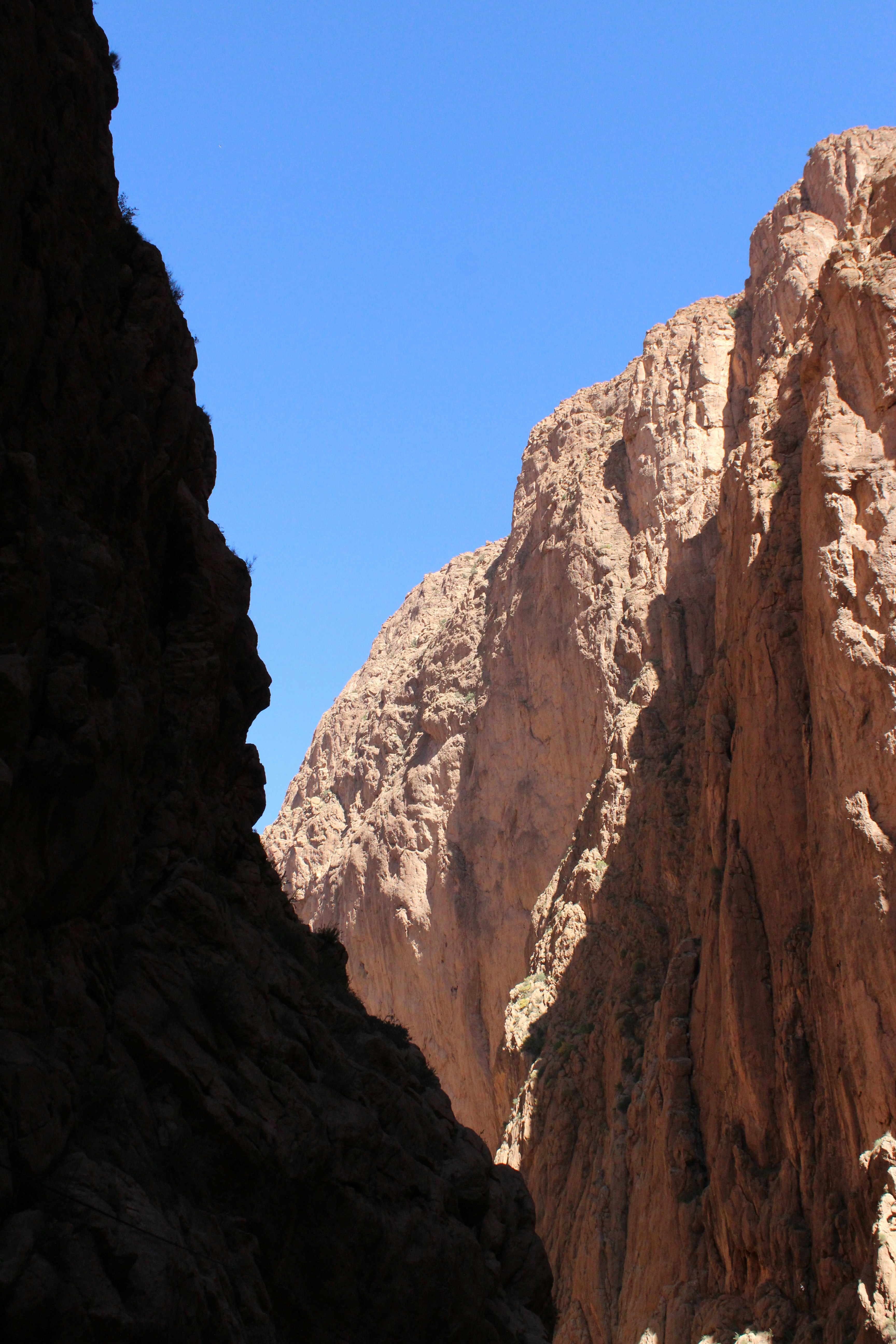 Atla Pictures | Download Free Images on Unsplash