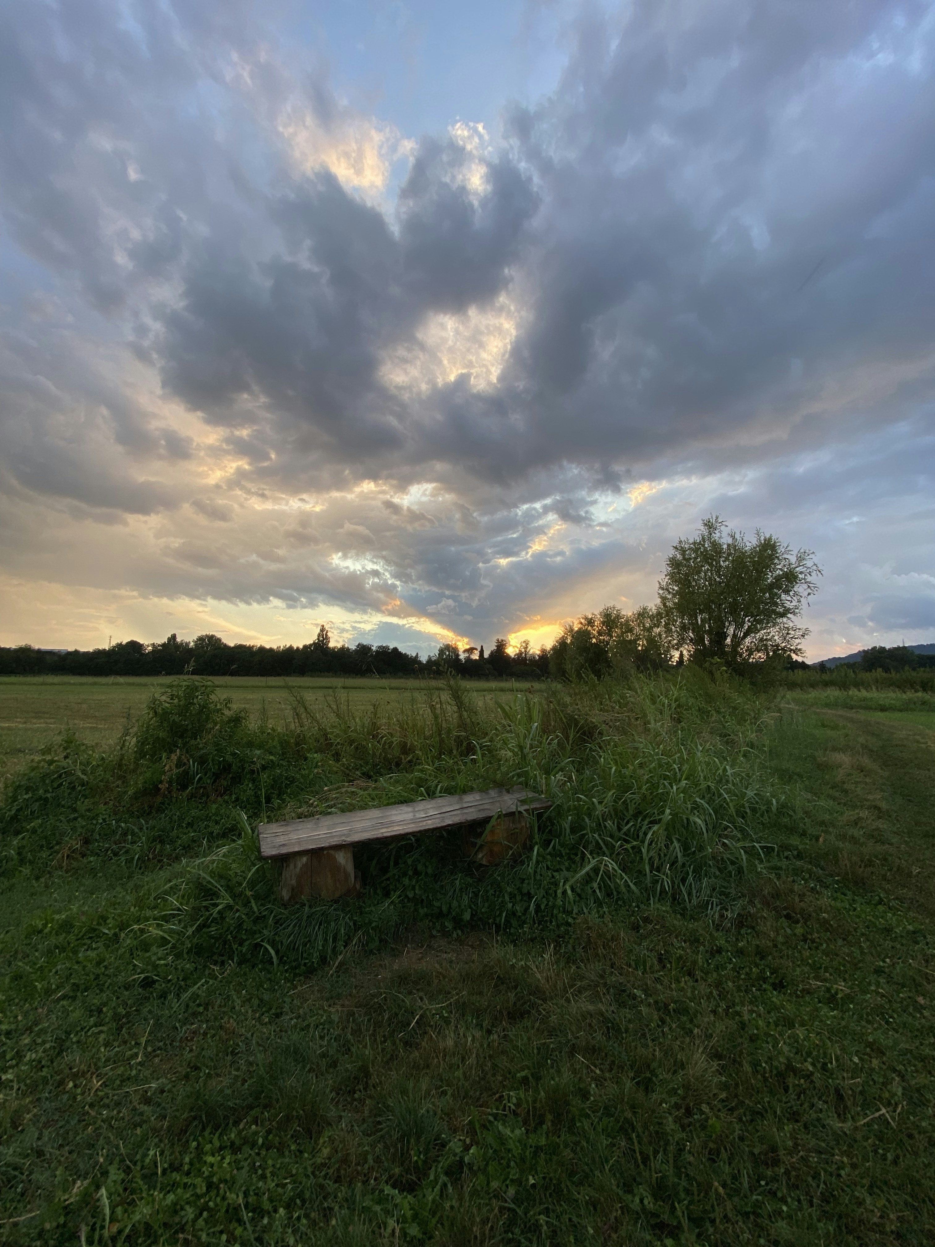 Dusk Bench at Meadow Edge Under a Firelit Sky