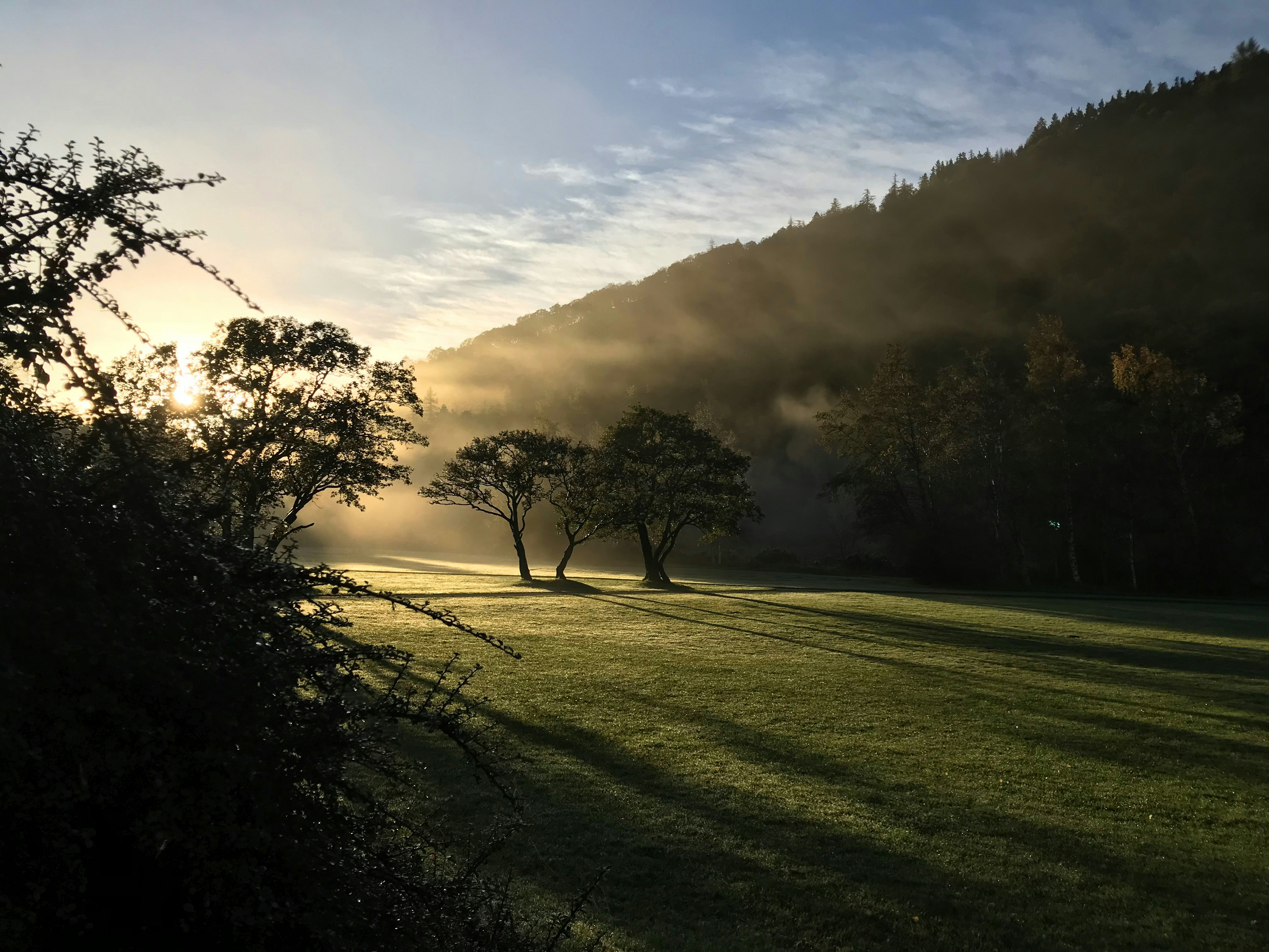 Dawn Threads Through a Misty Valley: Silhouetted Trees and Light Across the Meadow