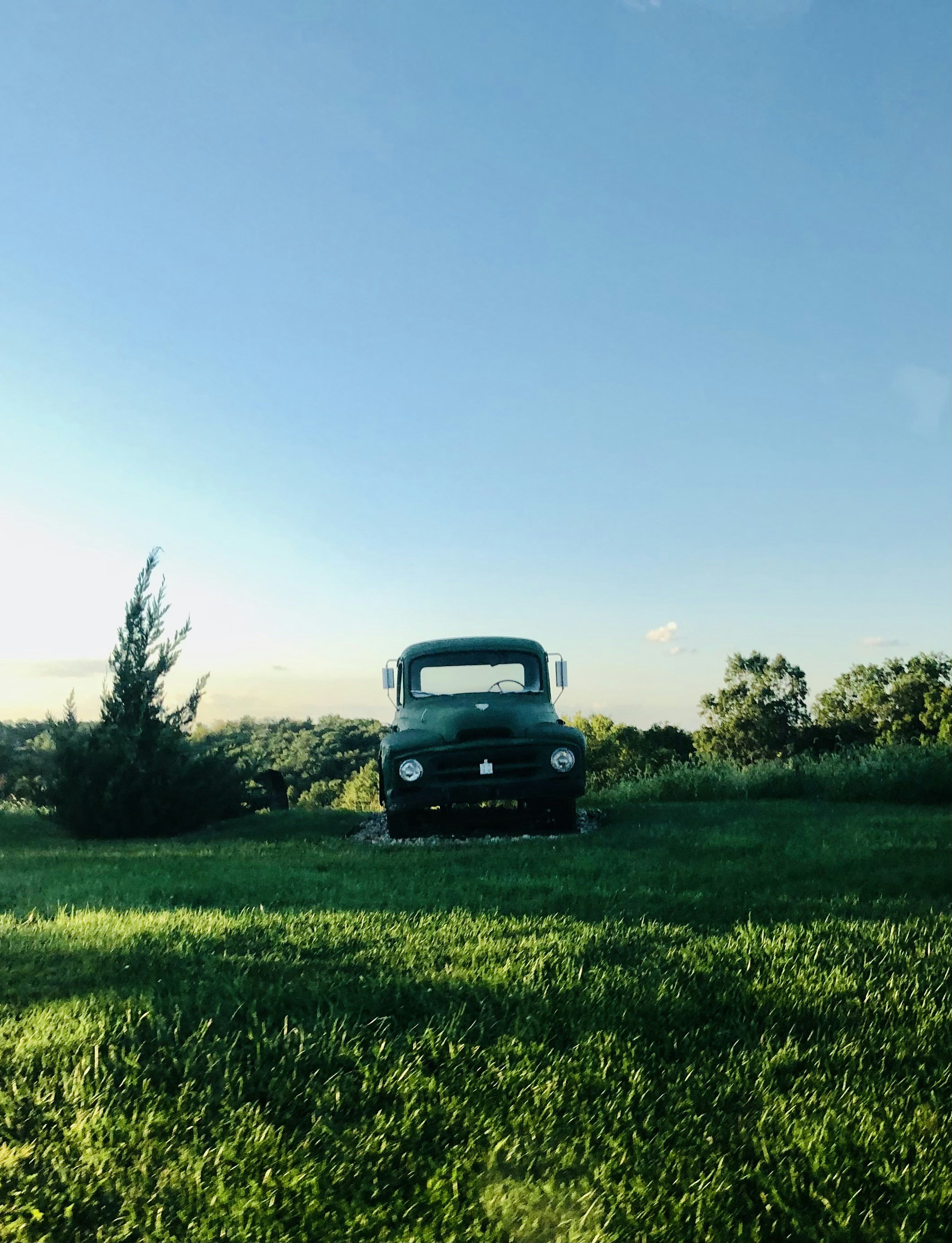 Vintage green truck parked on a grassy field, surrounded by trees under a clear blue sky.