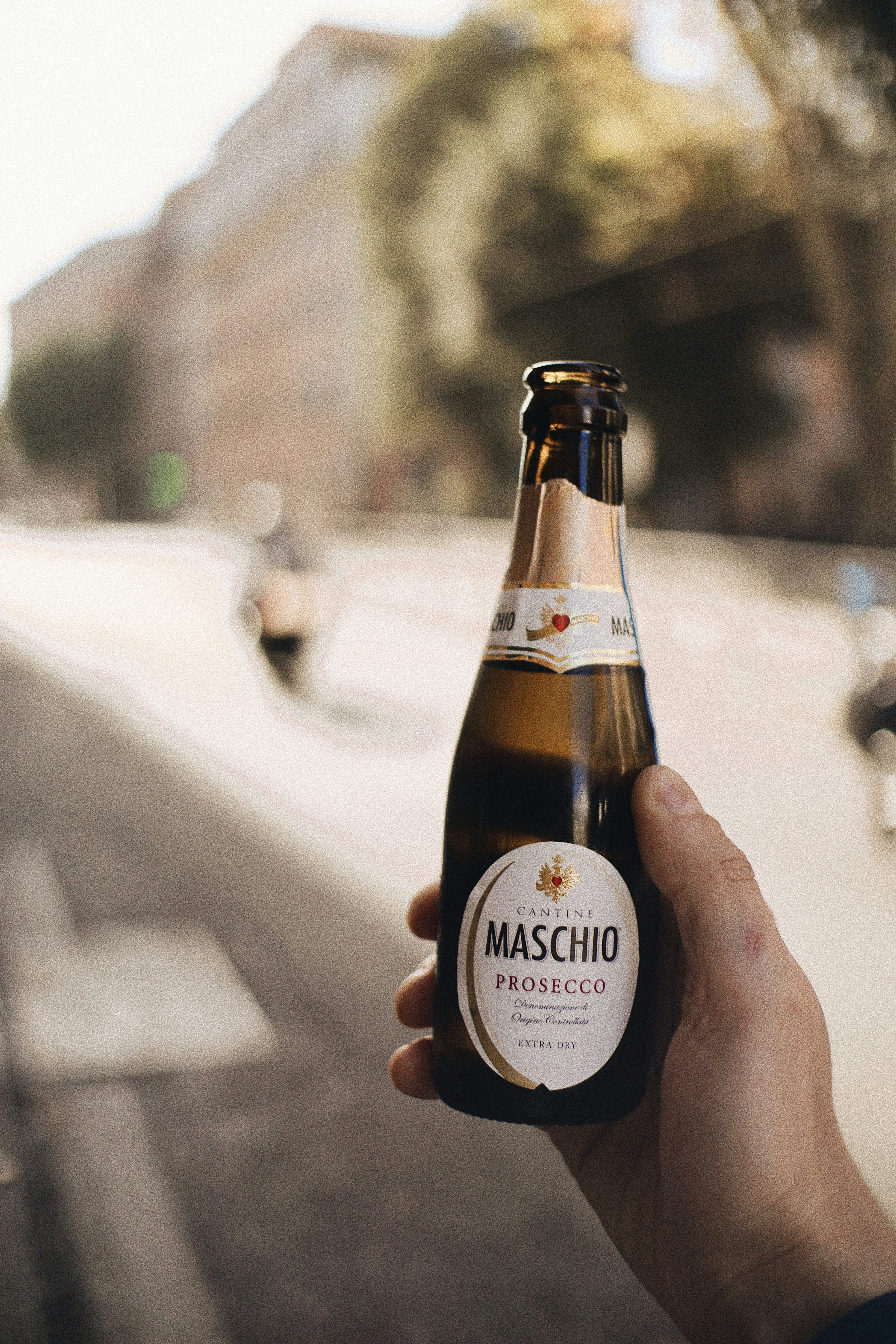 a person holding a bottle of beer in their hand