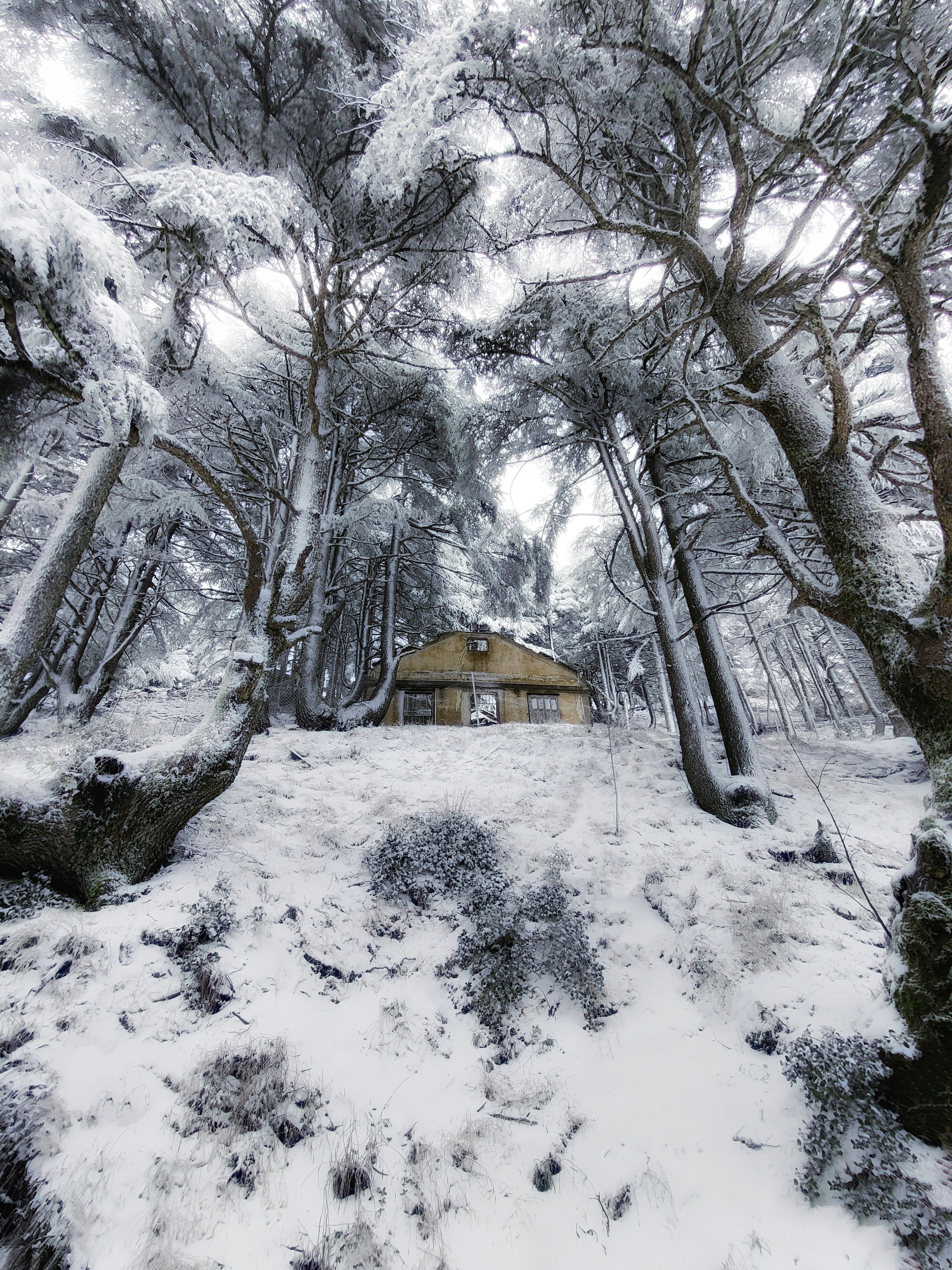 A house in the middle of a snowy forest photo – Free Nature Image on ...