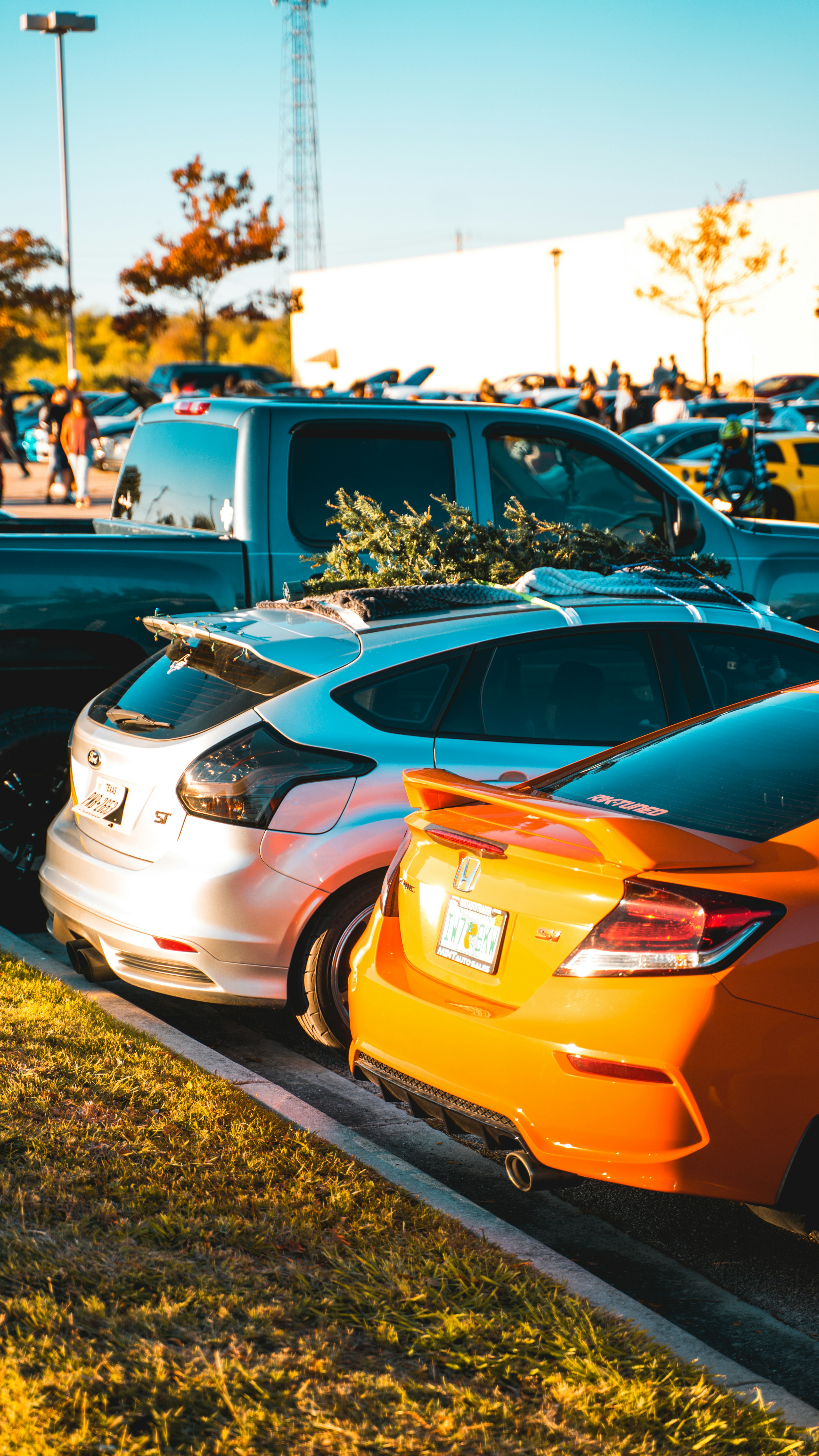 Sunlit Orange in a Parking Lot: A Row of Cars Under a Clear Sky
