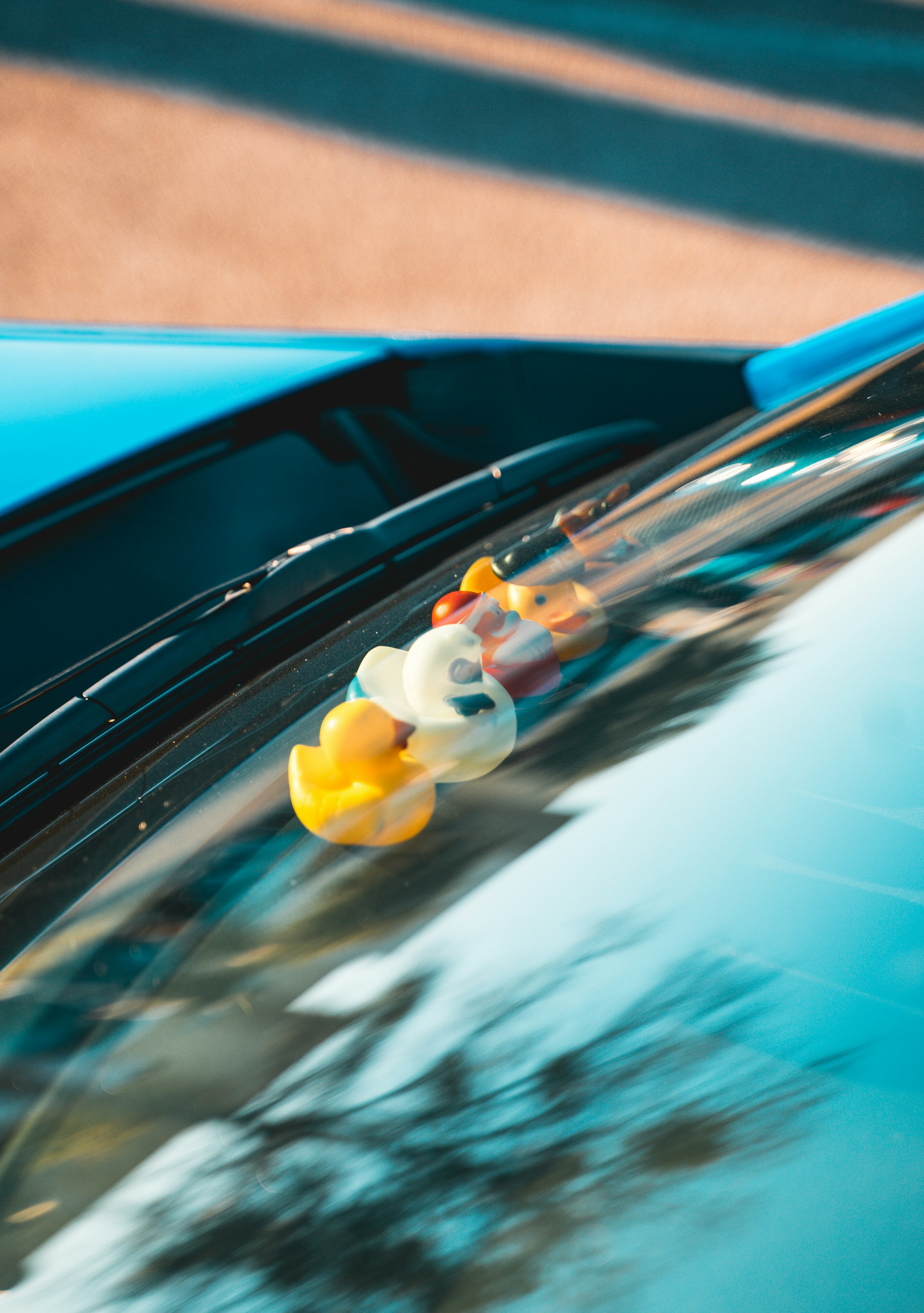 Vivid Rubber Ducks Reflected on a Shifting Carom of Glass and Chrome