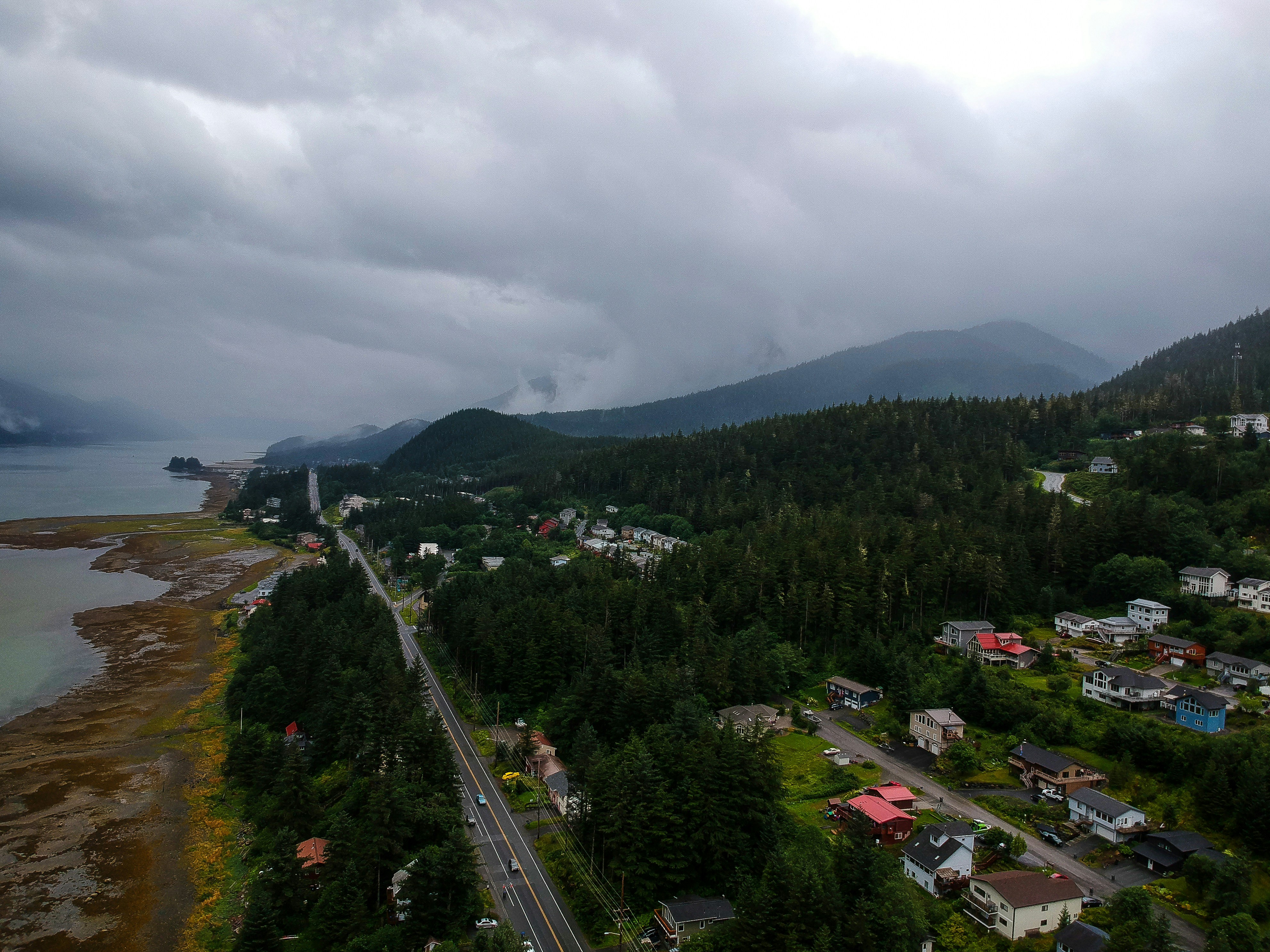 Coastal Road Woven Through Pines Under Stormy Skies