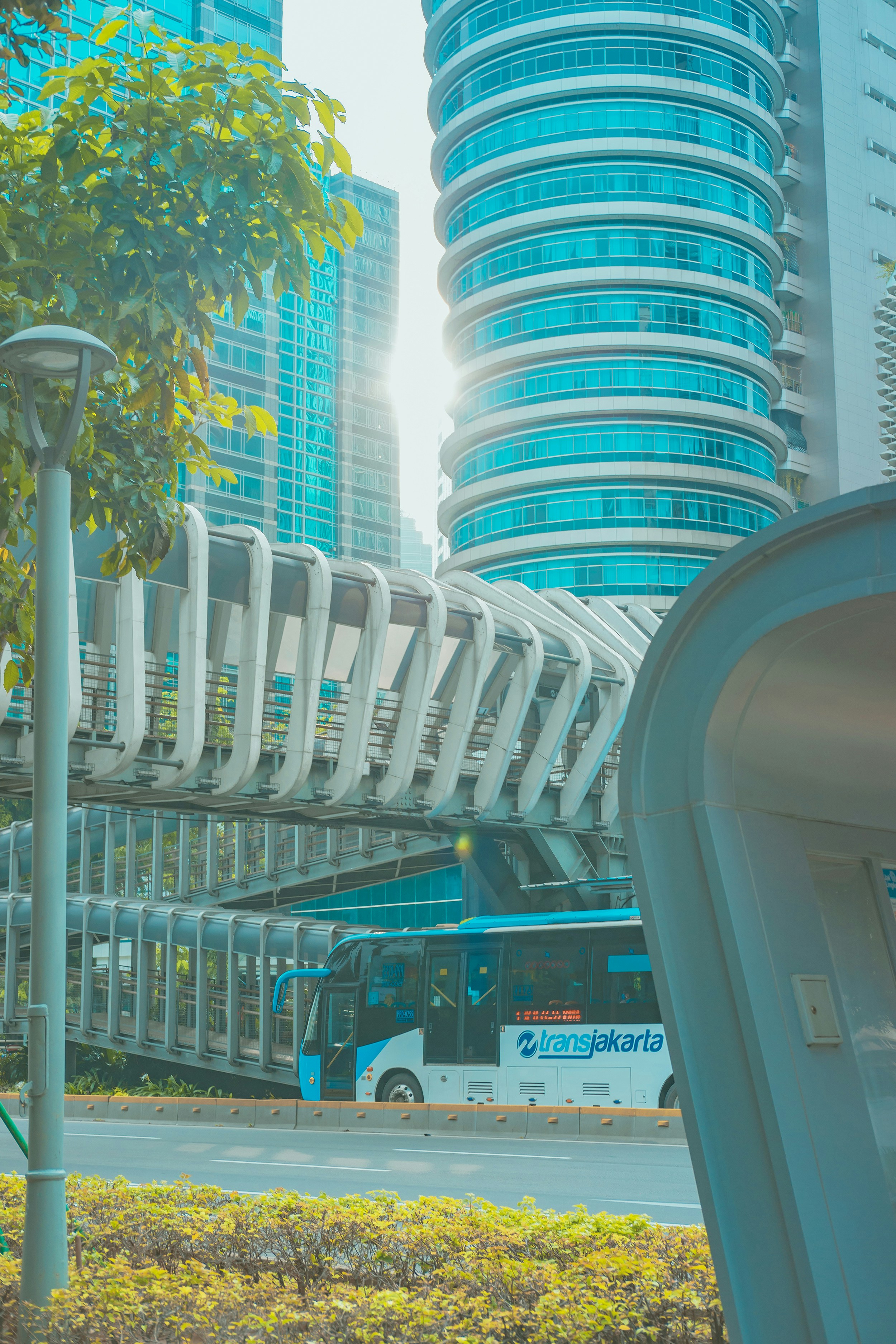 Skybridge Transit: A Blue Bus Under a Sunlit City Arc