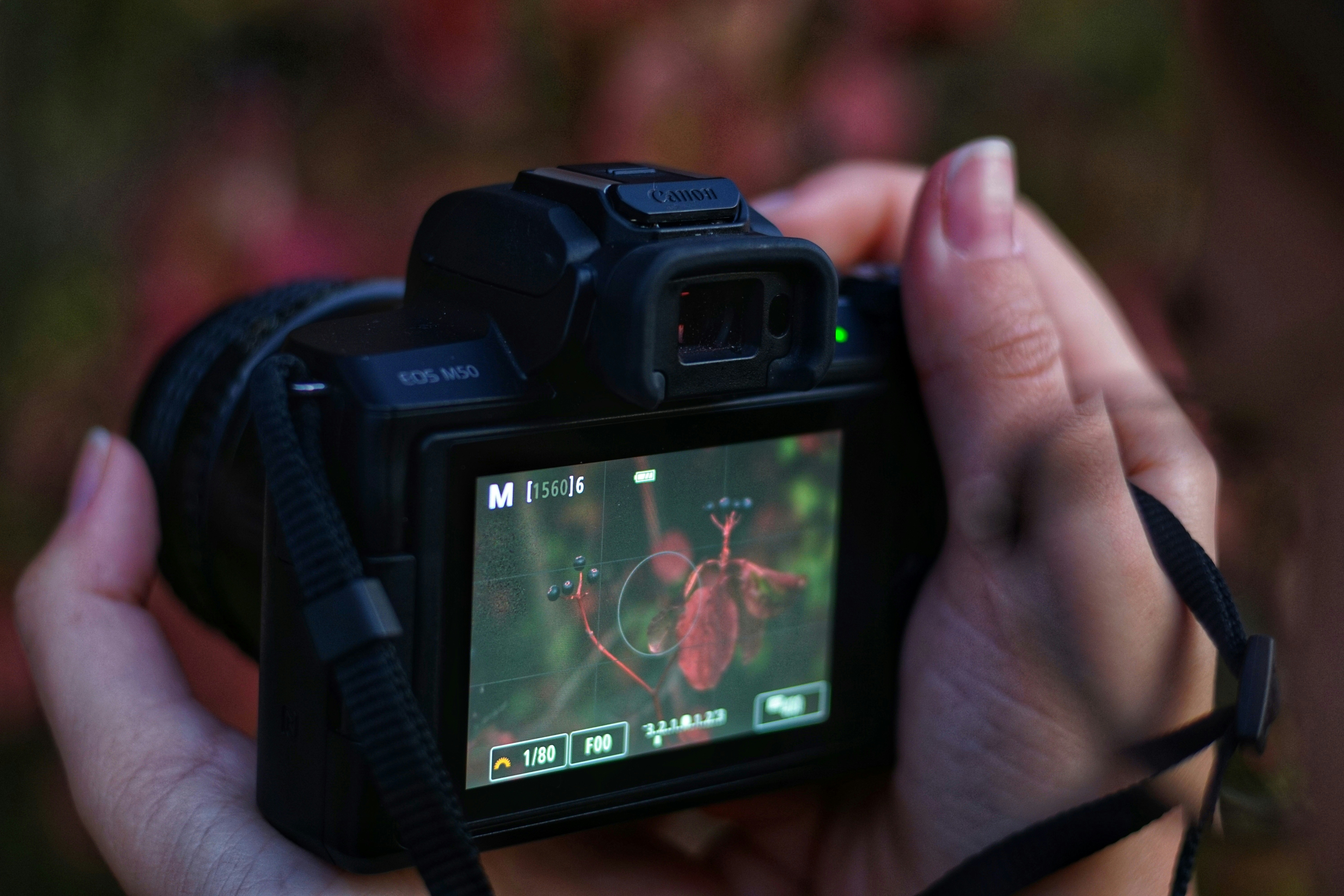 Close-up view of a camera screen displaying vibrant autumn leaves, highlighting the intricate details of nature's colors.
