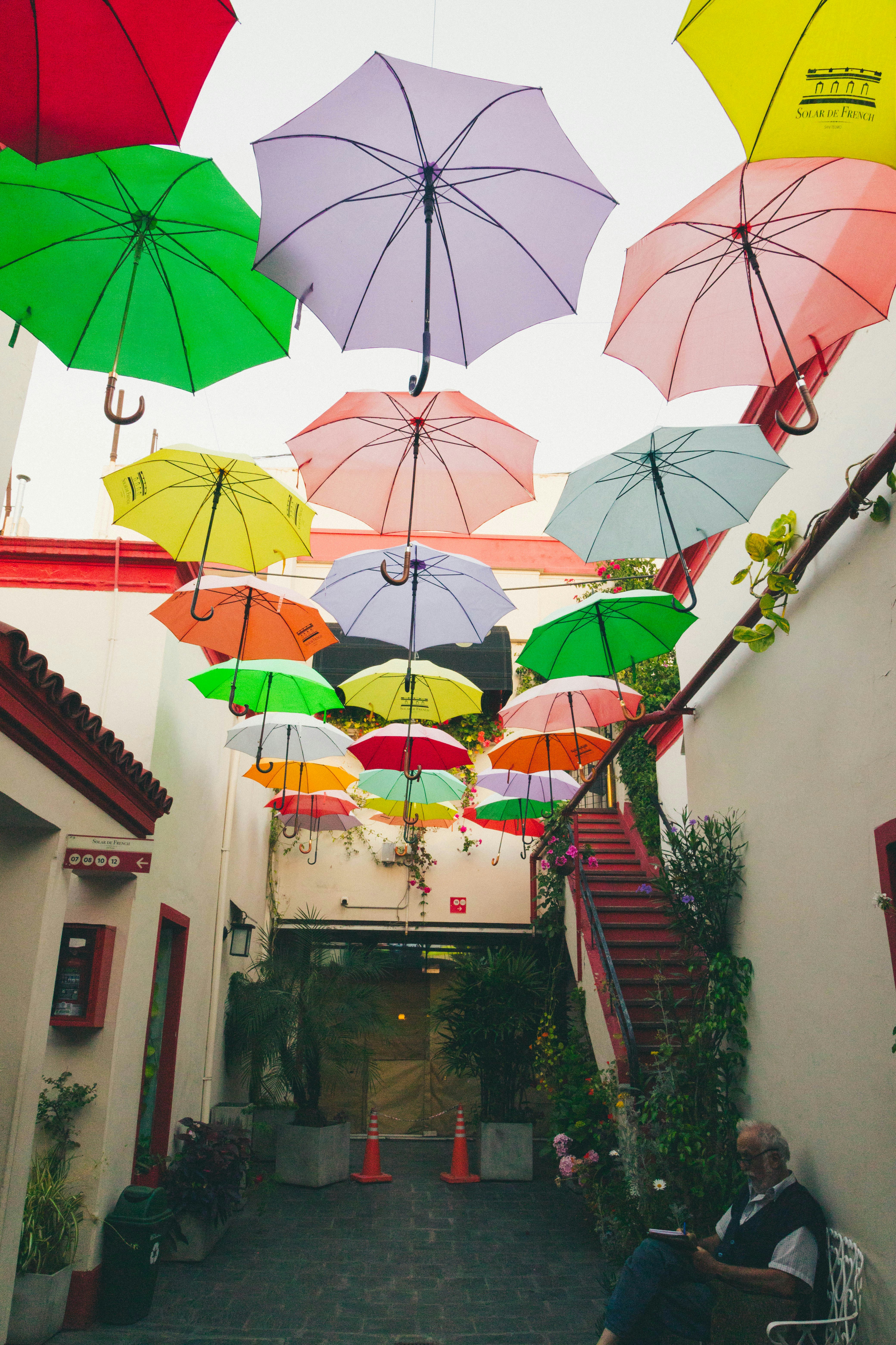 A group of umbrellas hanging from the ceiling of a building photo ...