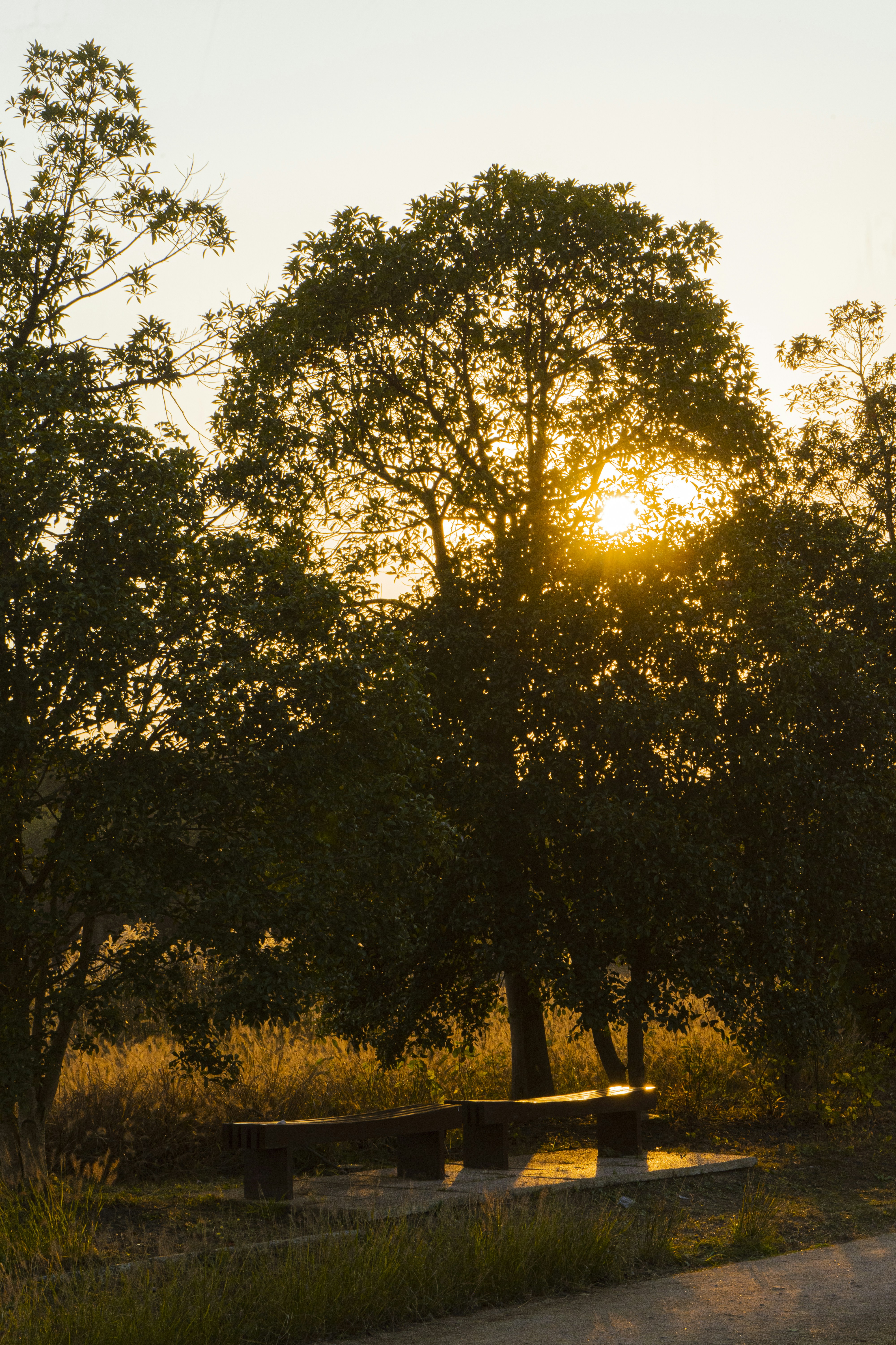 Sunlit Serenity: A Quiet Retreat