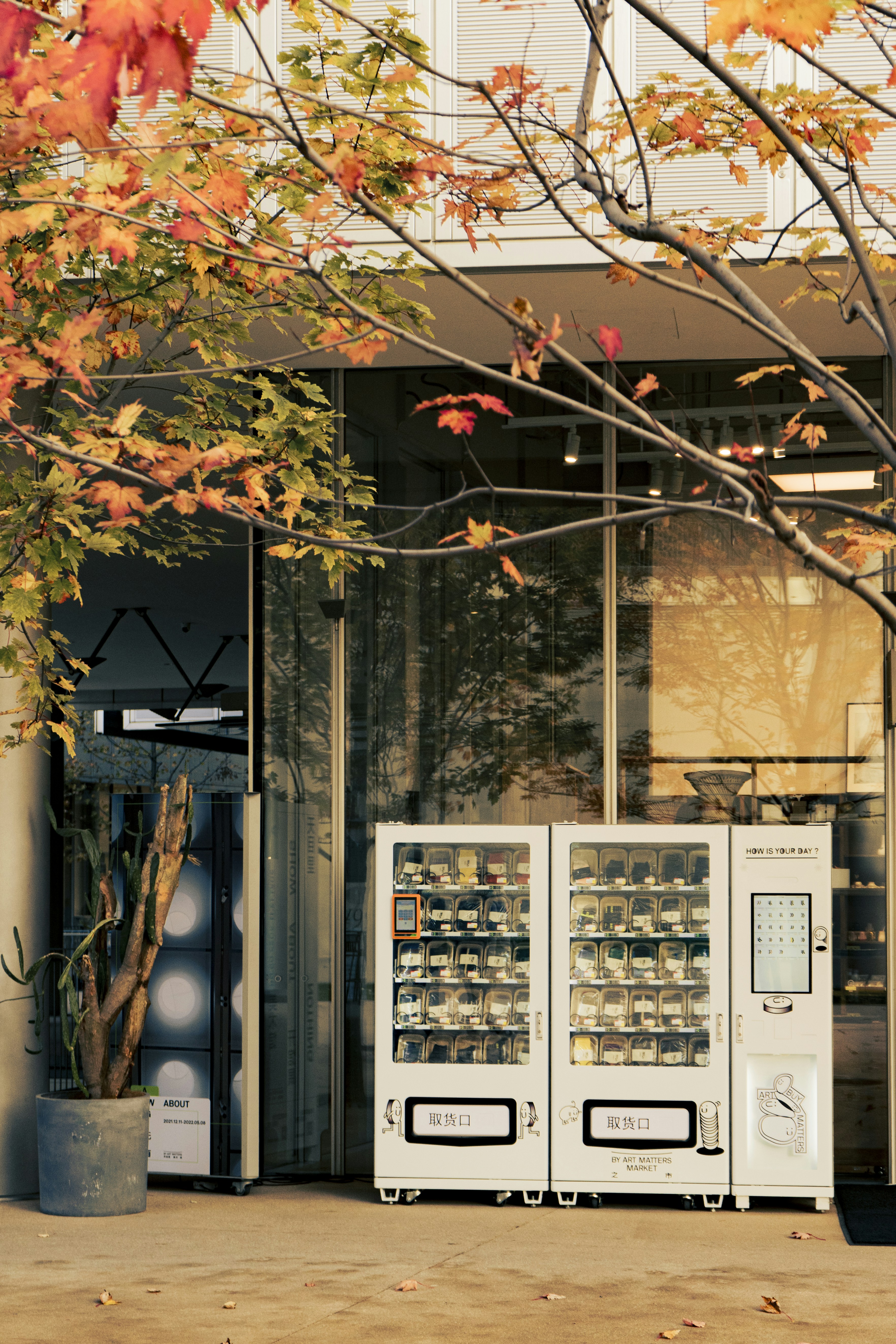 A couple of vending machines sitting in front of a building photo ...