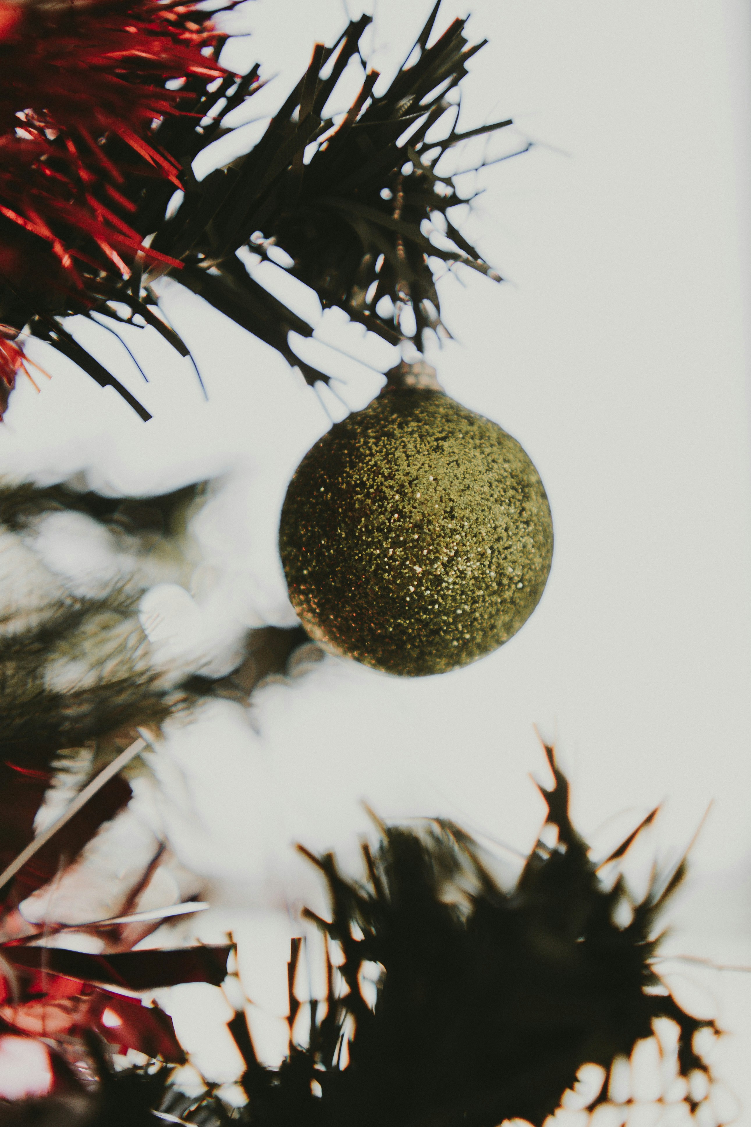 A christmas tree photo – Free Christmas Image on Unsplash