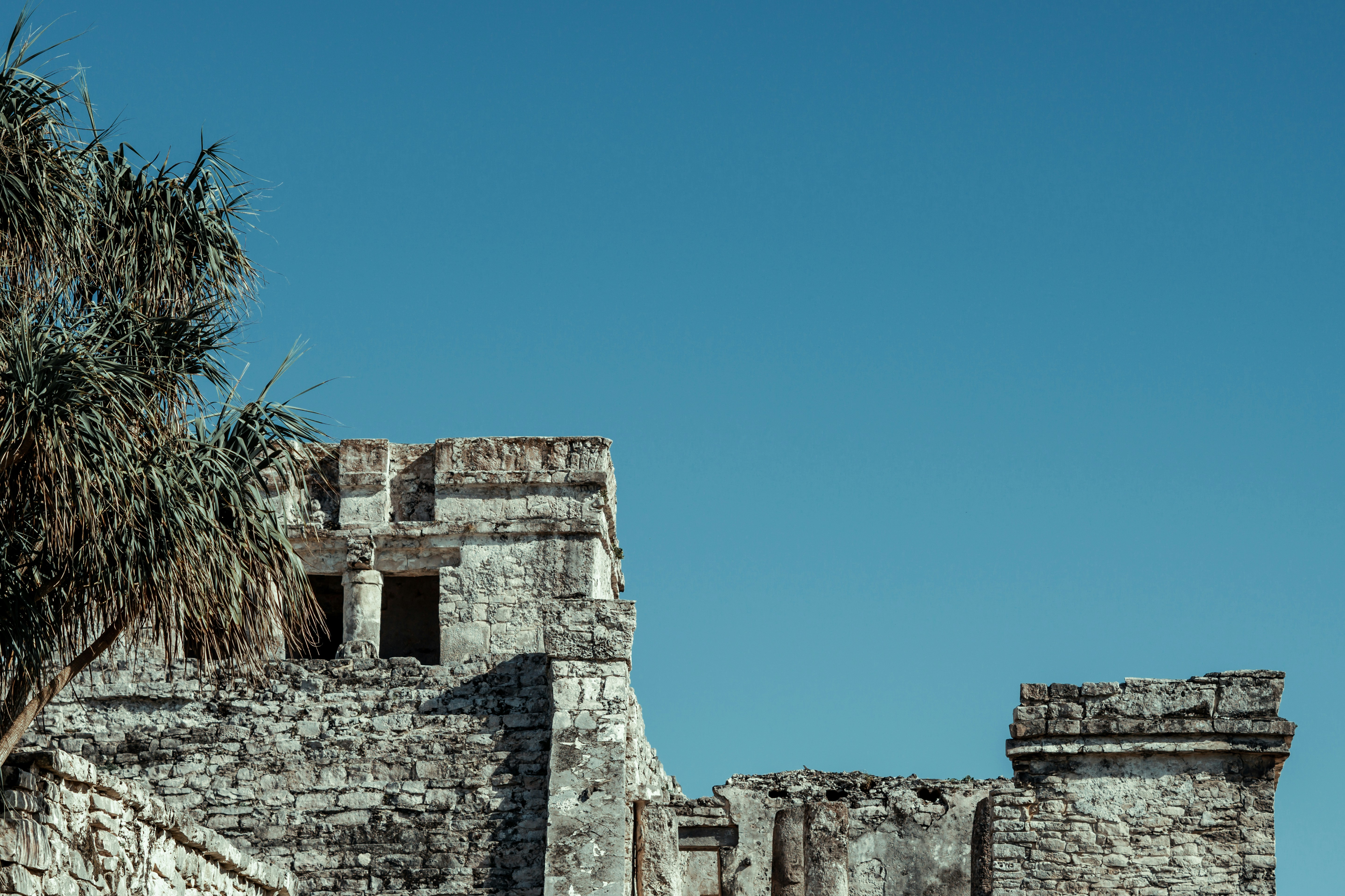 Ancient Mayan ruins stand beneath a clear blue sky, partially framed by lush foliage.