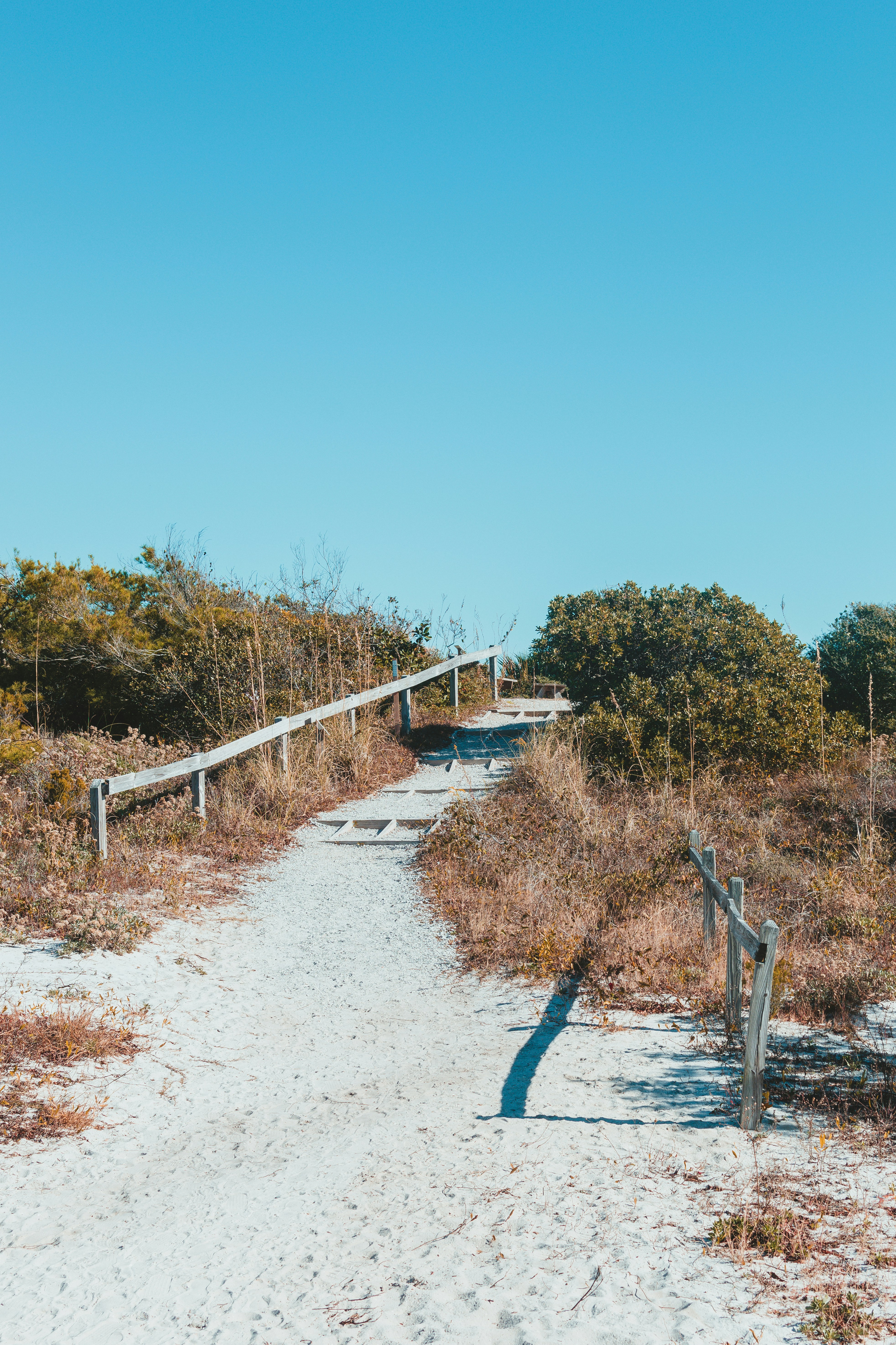 a sandy path leading to a wooden bridgeSamuel Branch