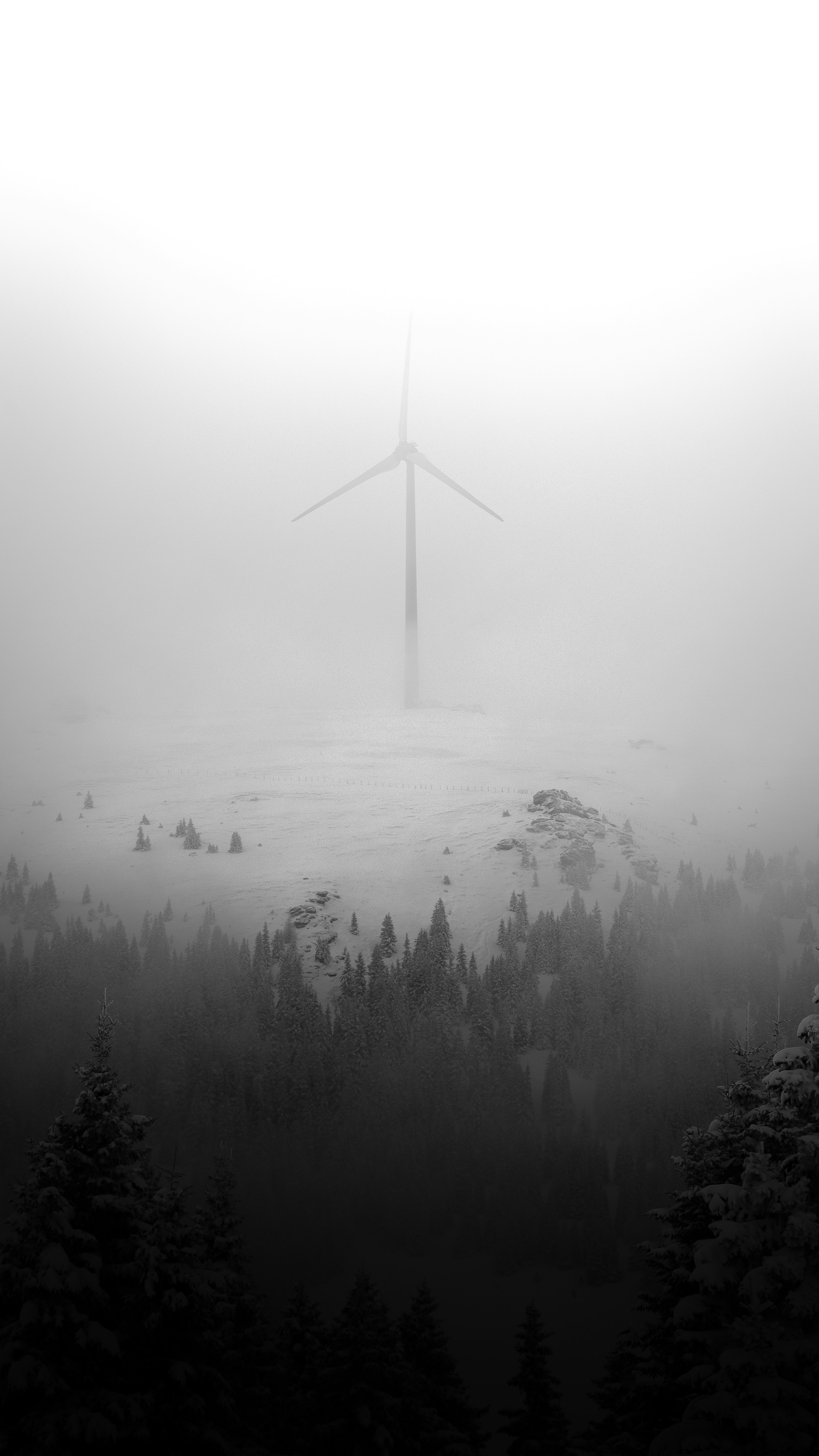 A solitary wind turbine emerges from a thick fog, surrounded by a dense forest, creating an ethereal atmosphere.