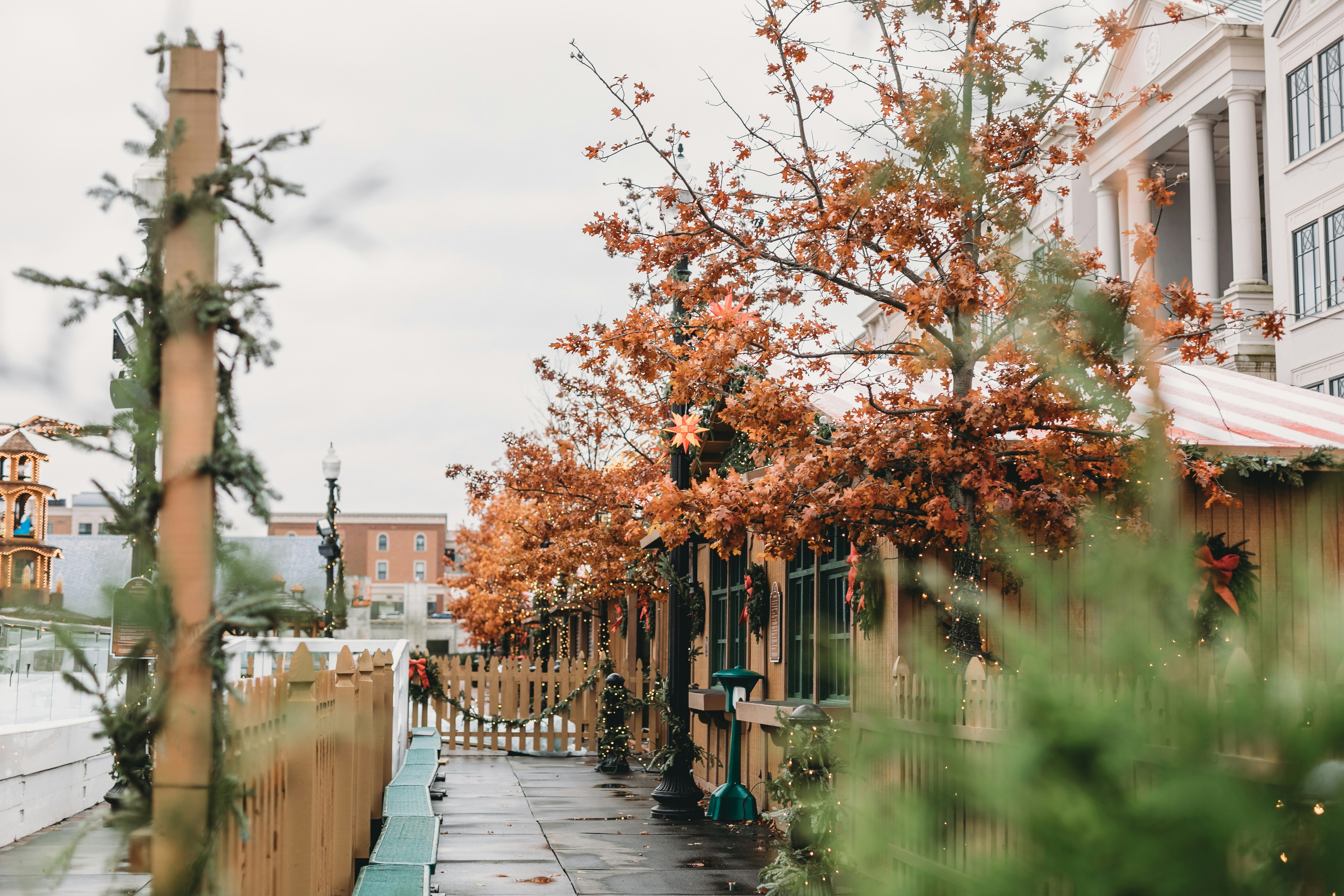 Vibrant autumn trees line a festive walkway adorned with lights, leading to a charming building in the background. The scene captures the essence of seasonal transition.
