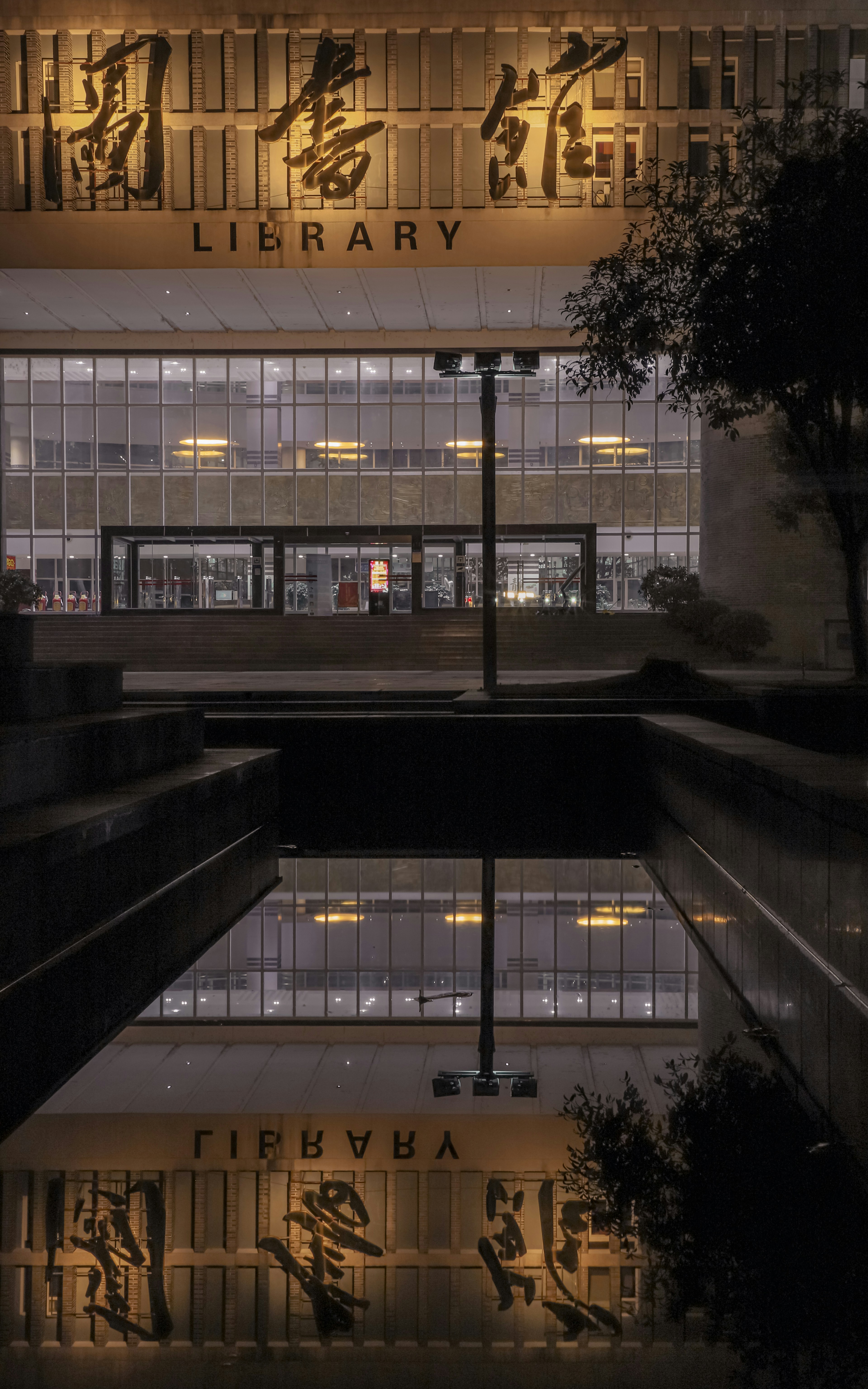Echoes of Literature: Night at the Illuminated Library