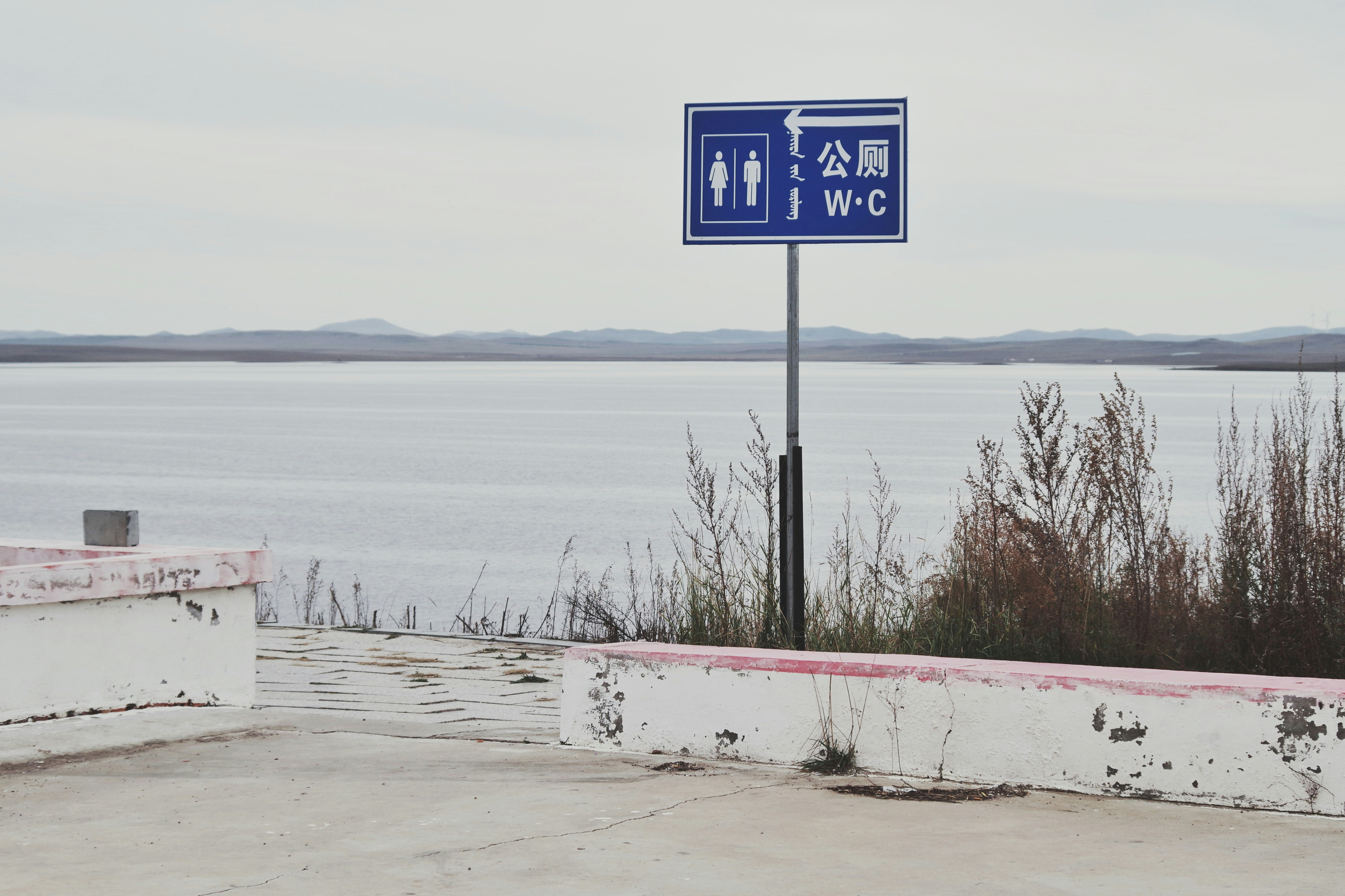 Deserted Waterline: A W-C Sign Framed by Bleached Concrete and Quiet Shore