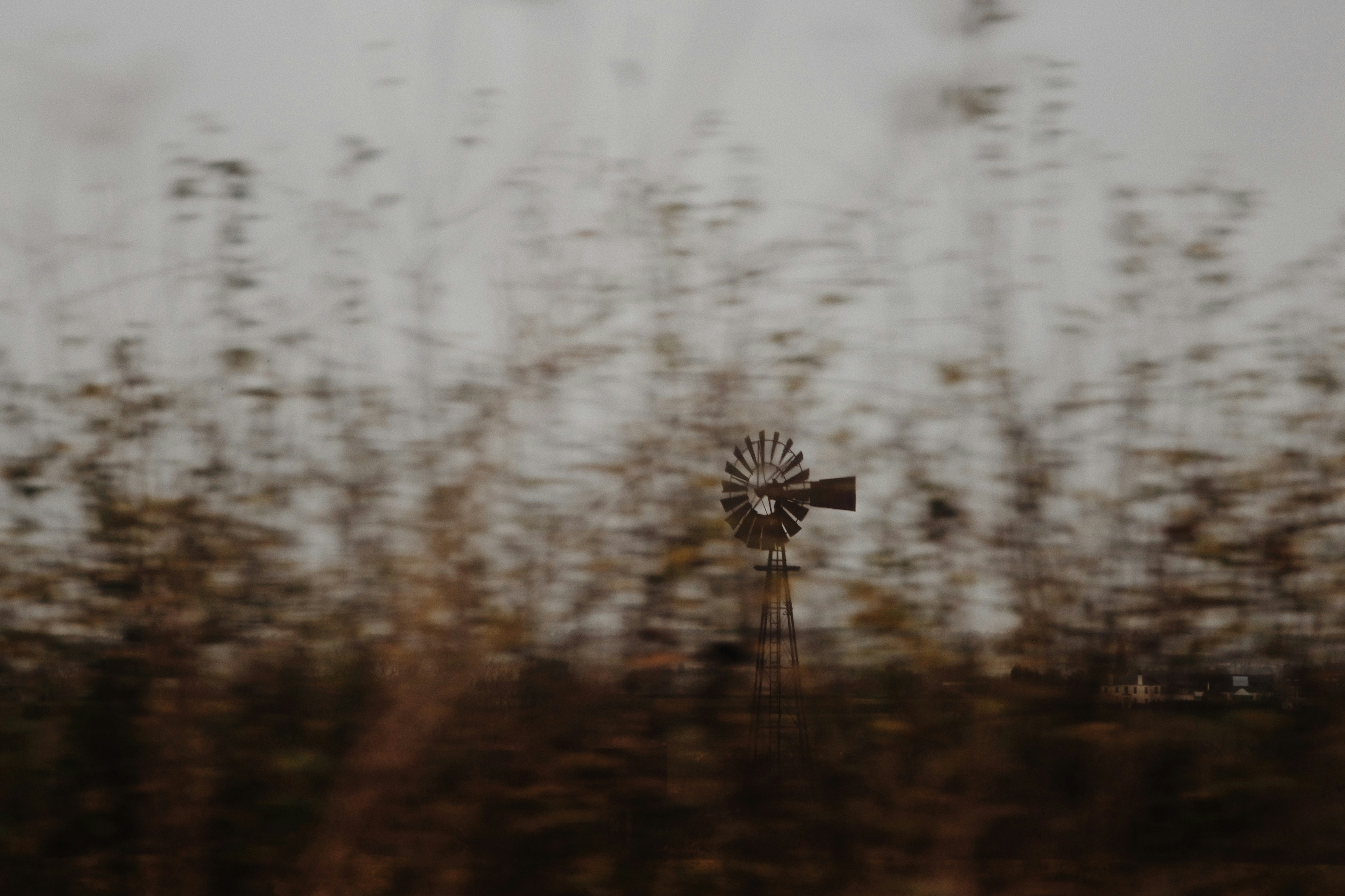 Windmill in a Quiet Field, Shrouded by Evening Haze