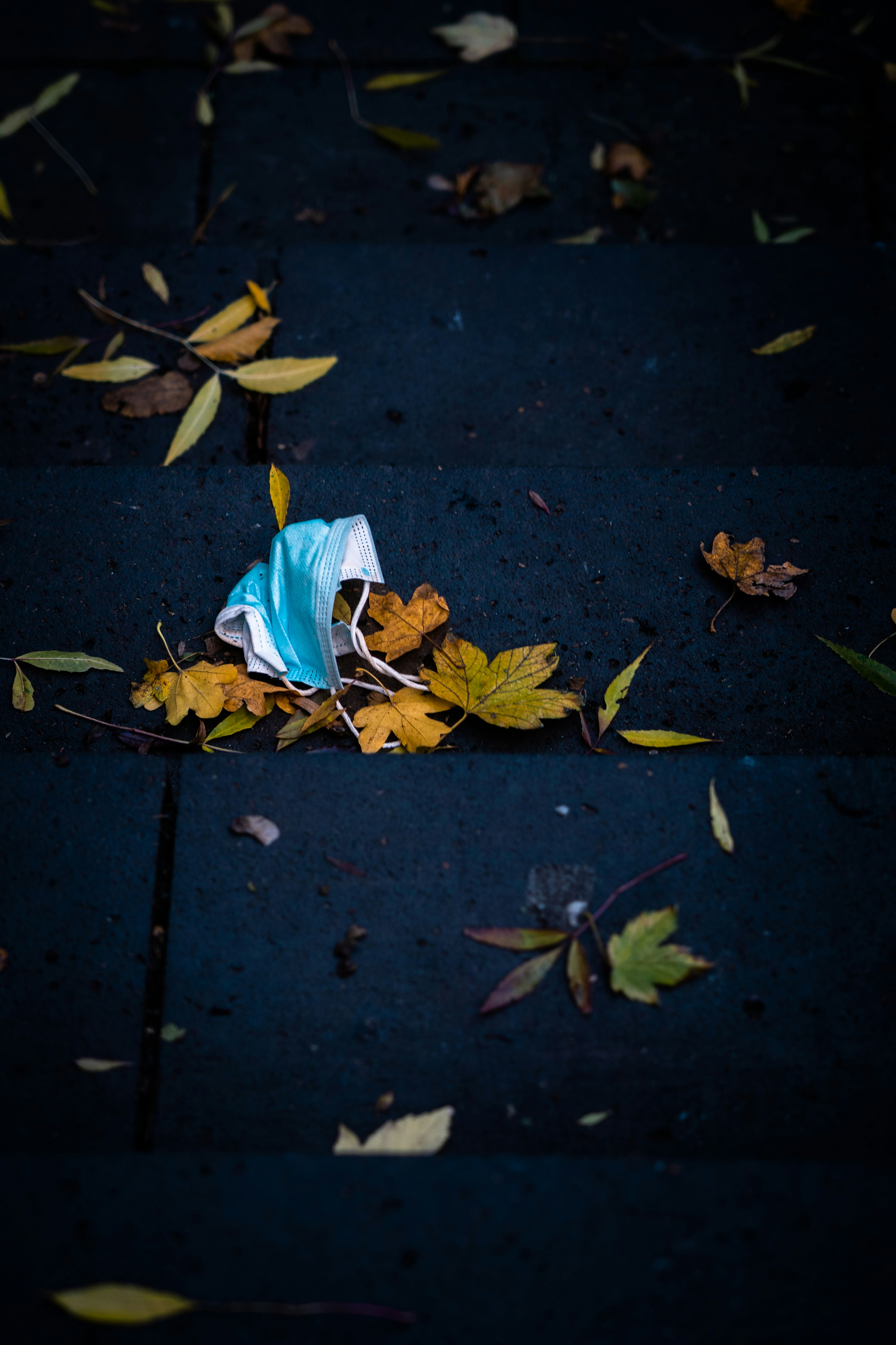 Blue Mask on a Rain-Washed Stair, Surrounded by Autumn Leaves