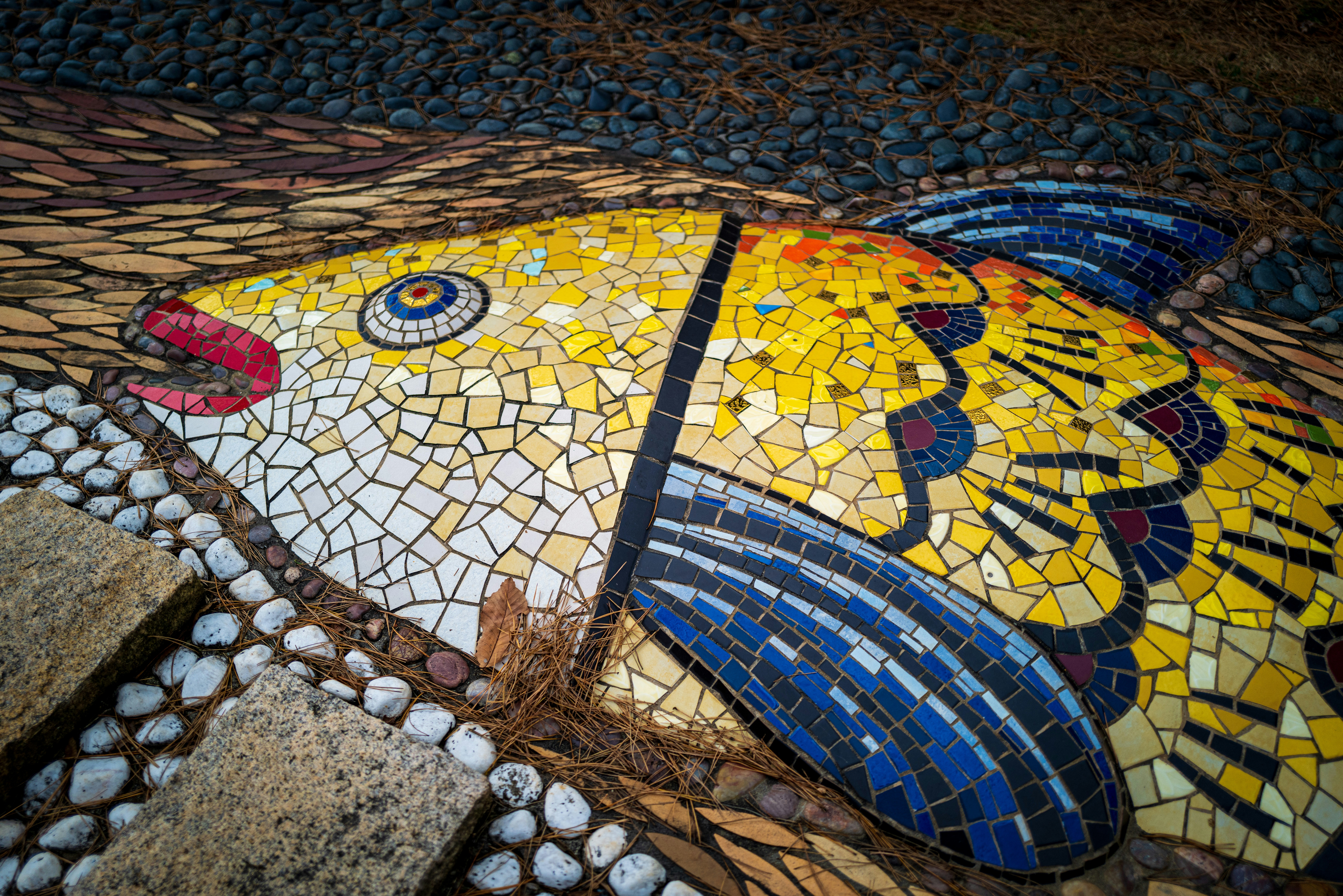a fish made out of mosaic tiles on the ground