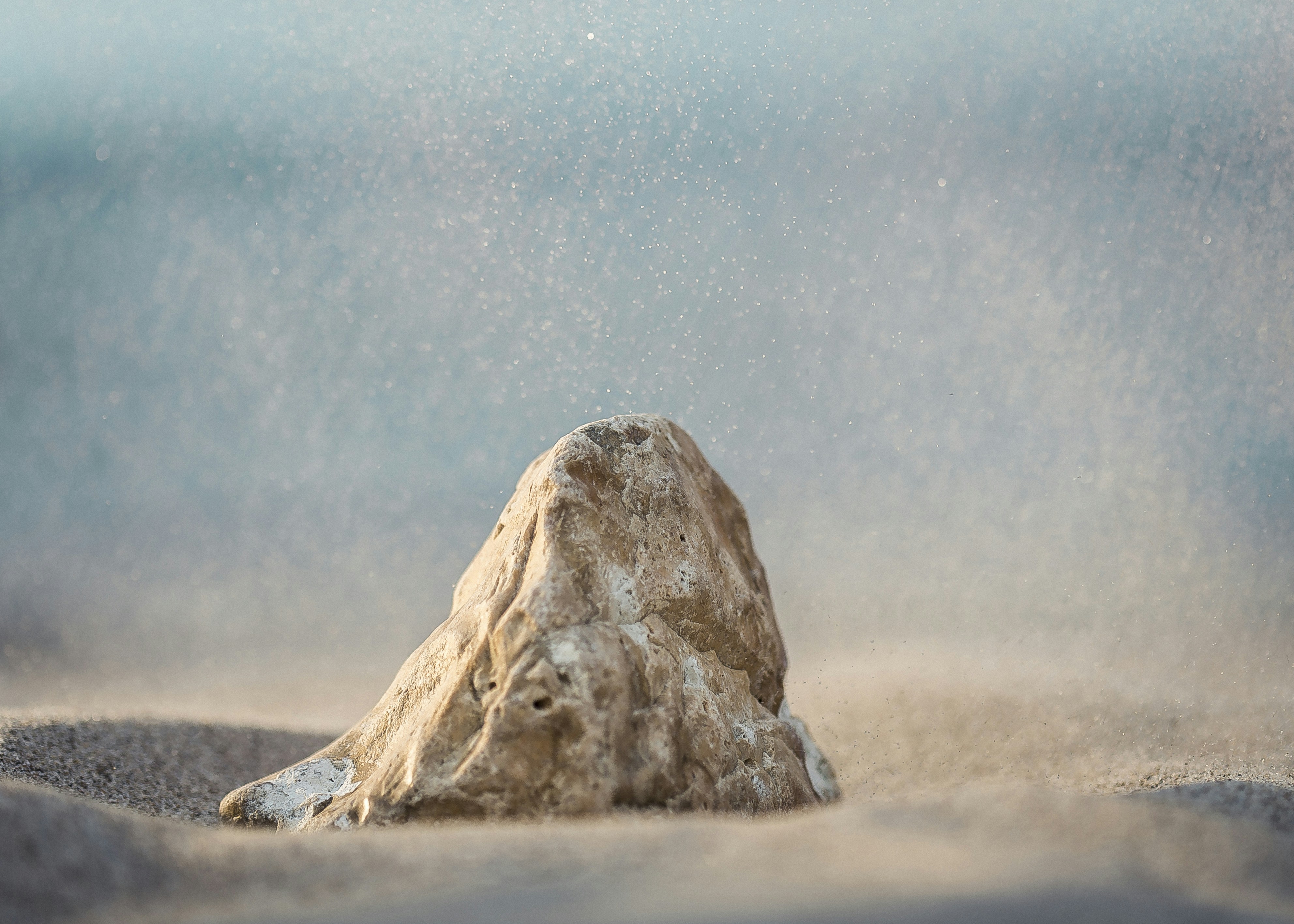 Rock Sentinel on a Misty Shore