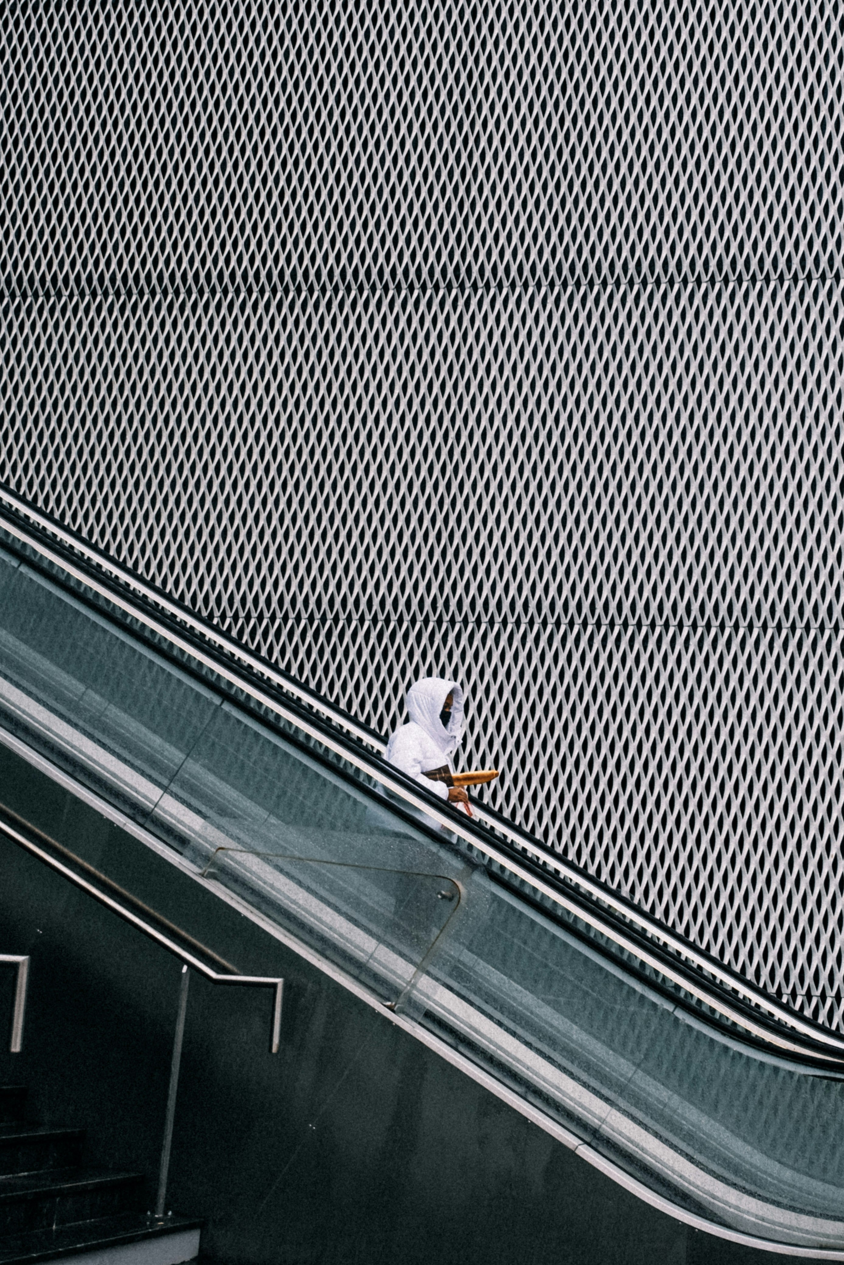 Hooded Commuter Gliding Along a Diamond Mesh Backdrop