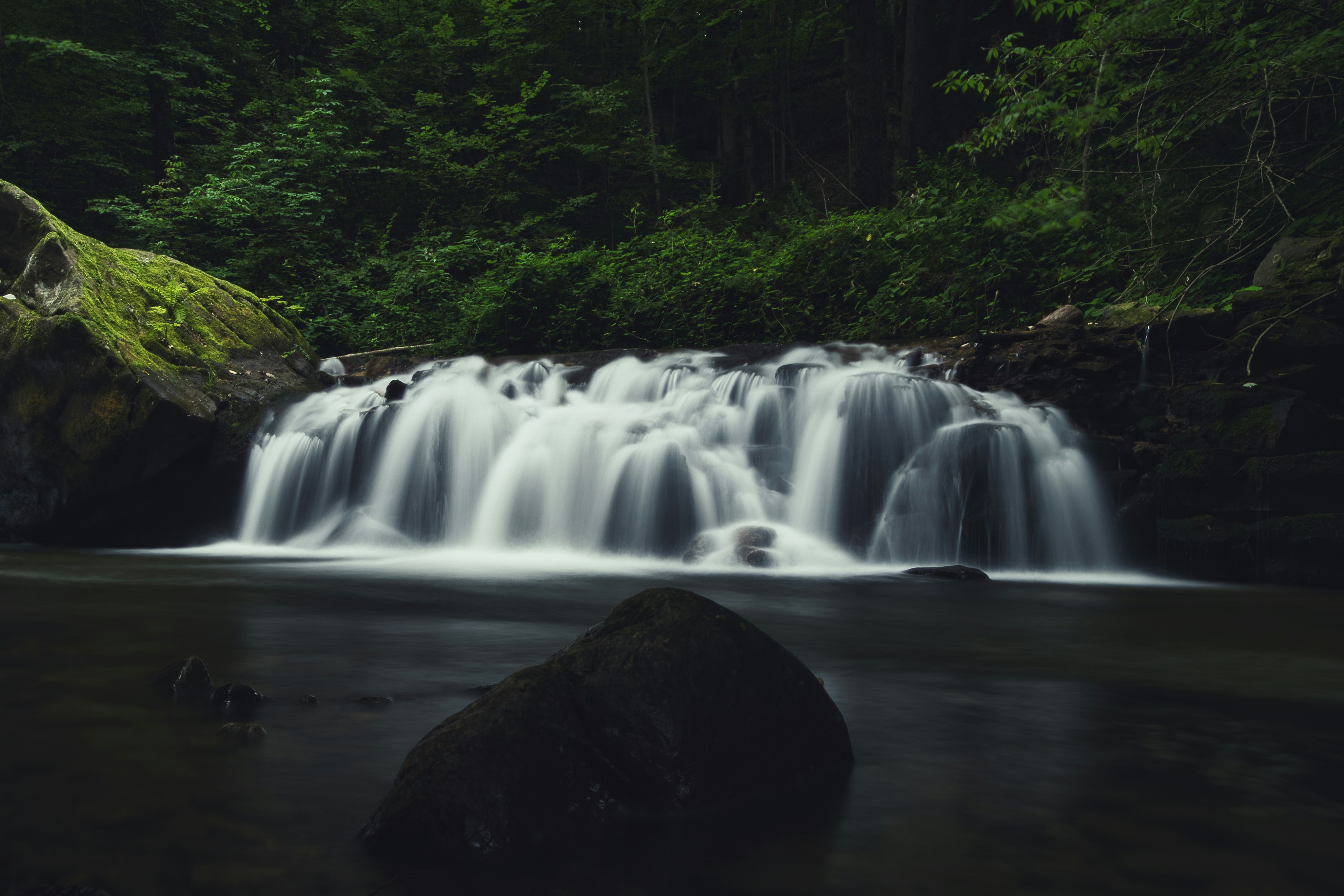Gentle waterfall cascading over smooth rocks, surrounded by lush greenery in a tranquil forest setting.