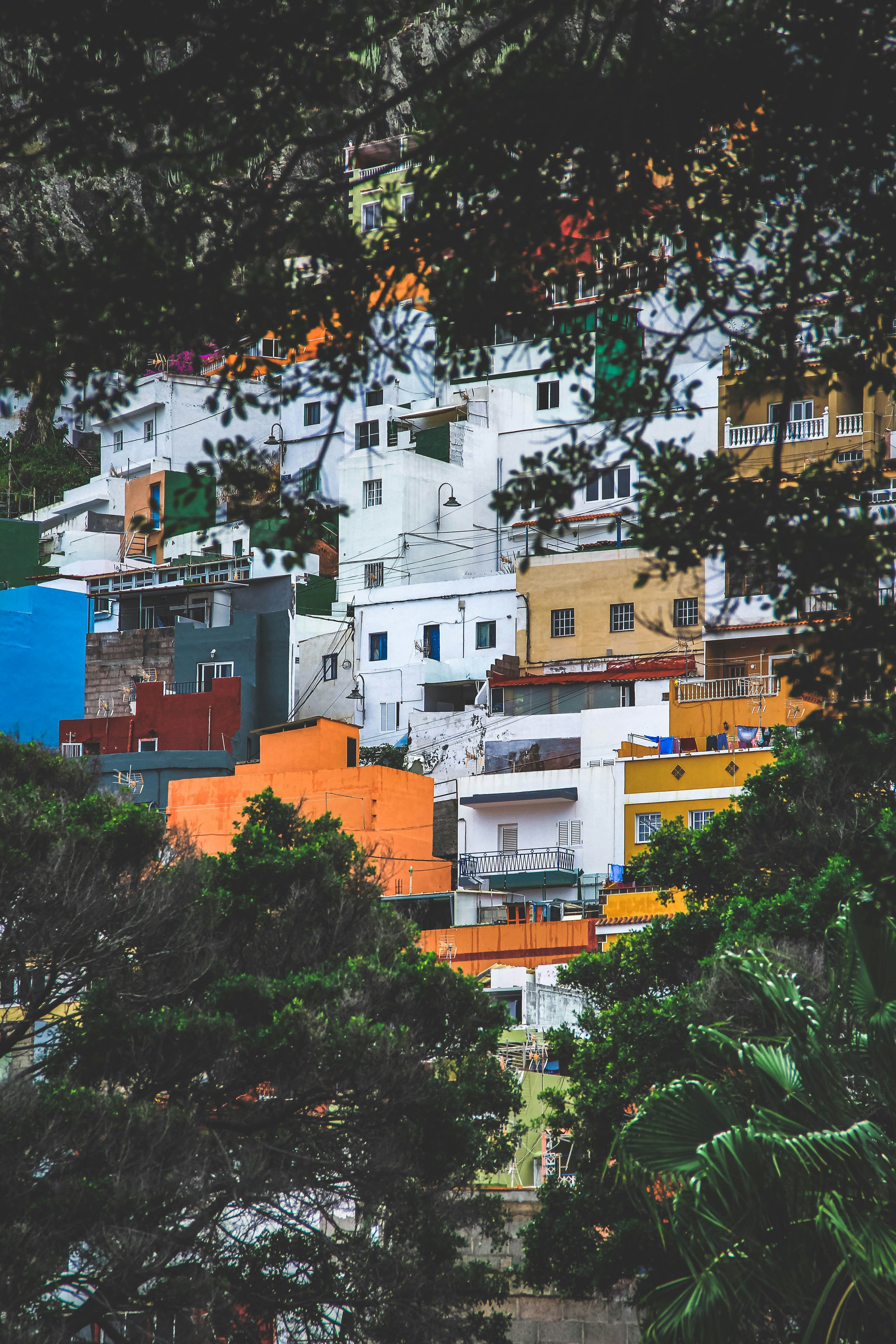 Stacked in Color: A hillside mosaic of chromatic homes