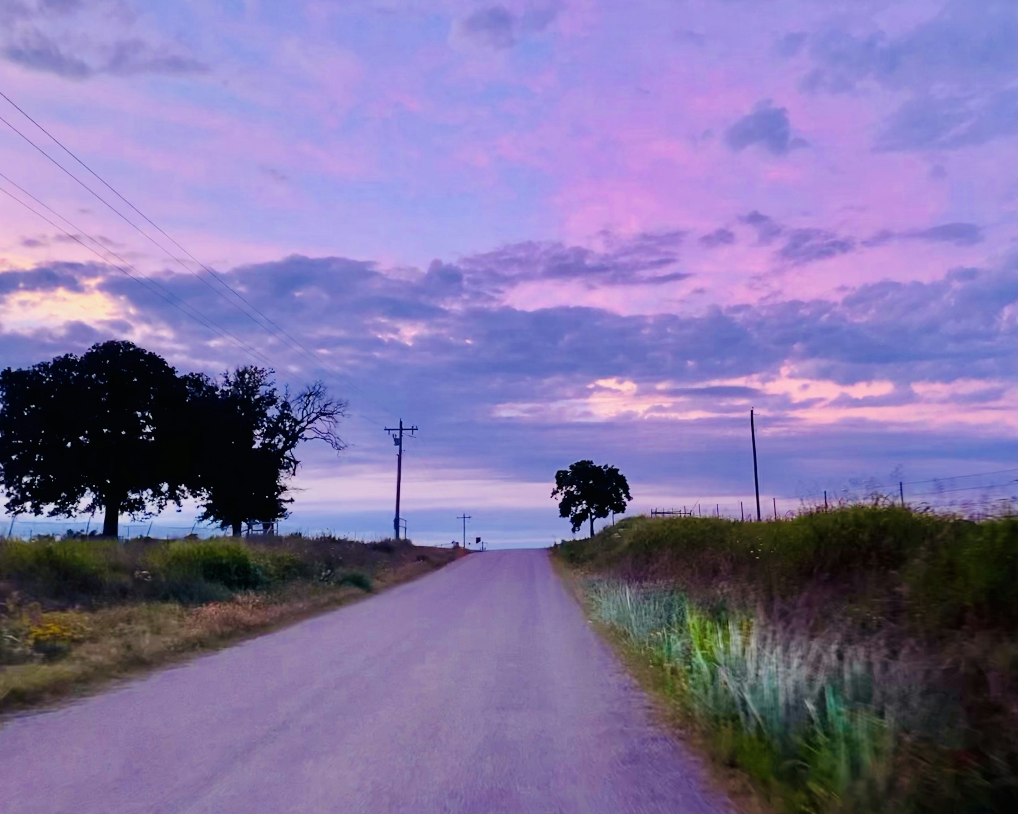 erica minor (@eminor) | Komunitas Foto Unsplash