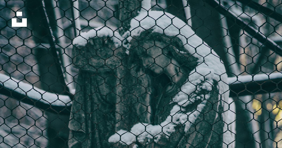 A Statue Of A Man Standing Behind A Chain Link Fence Photo Free Grey