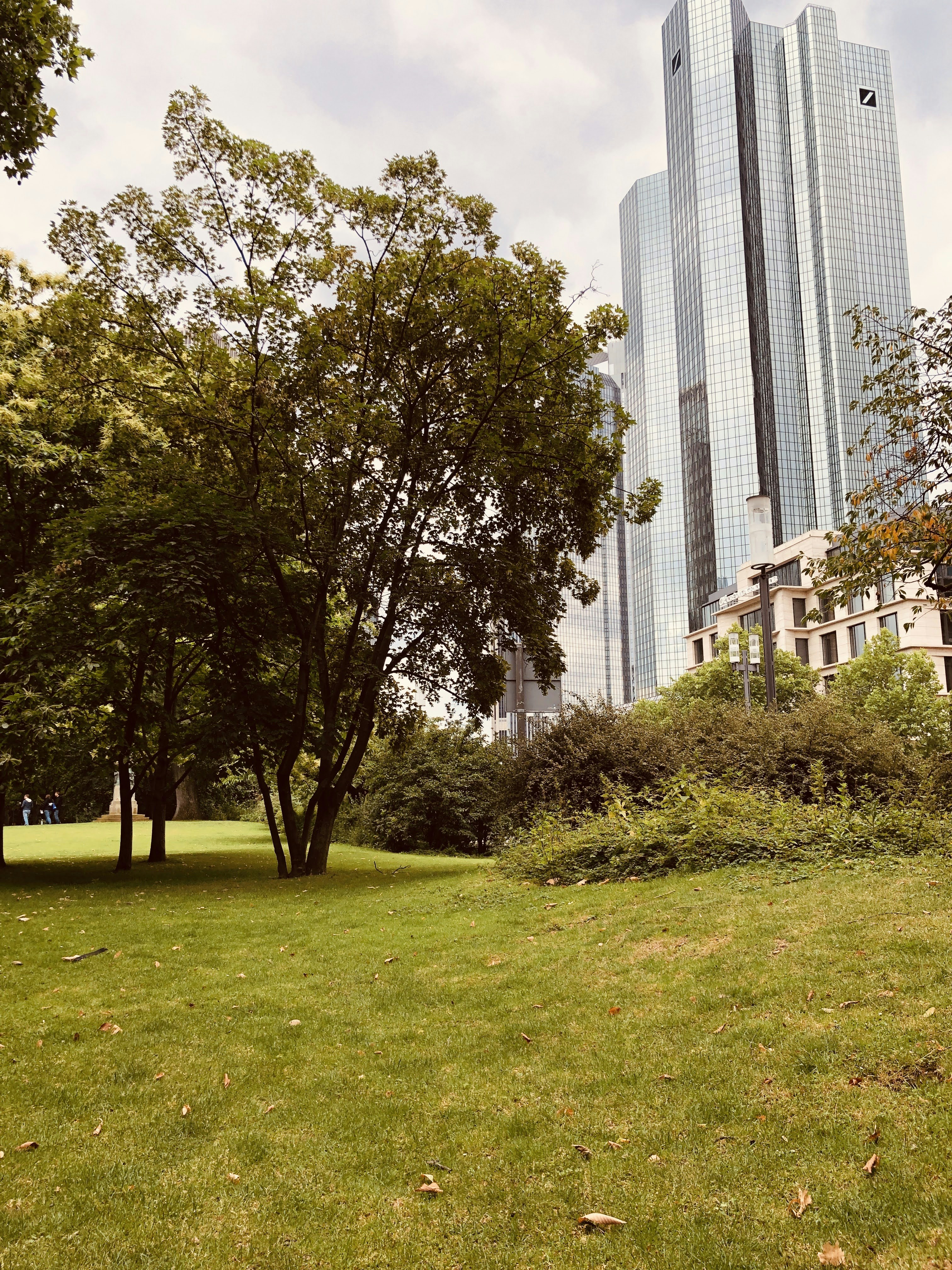 Photo by Word Tune with Apple iPhone X