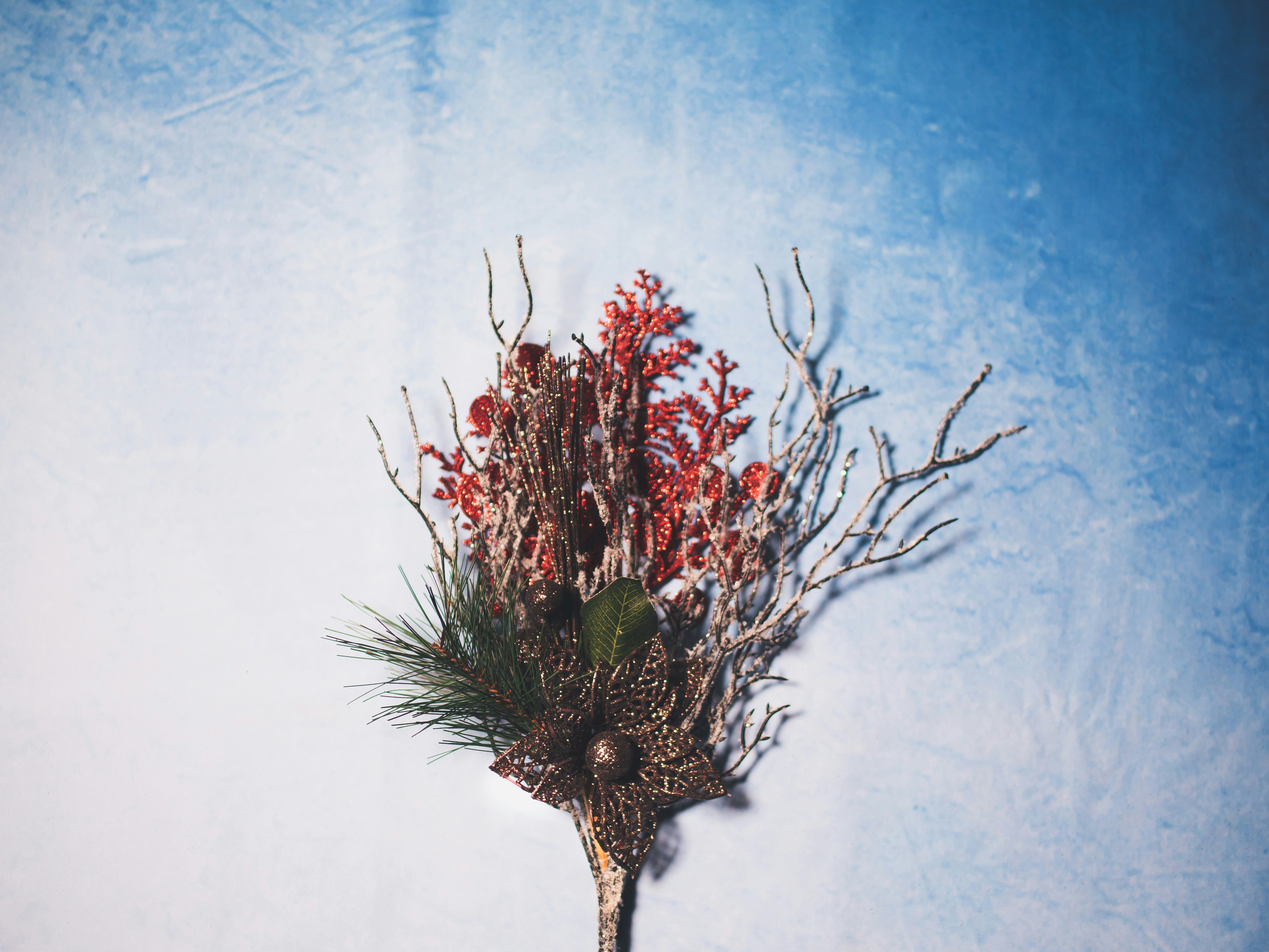 Winter Arrangement Emerges from a Frosted Blue Backdrop
